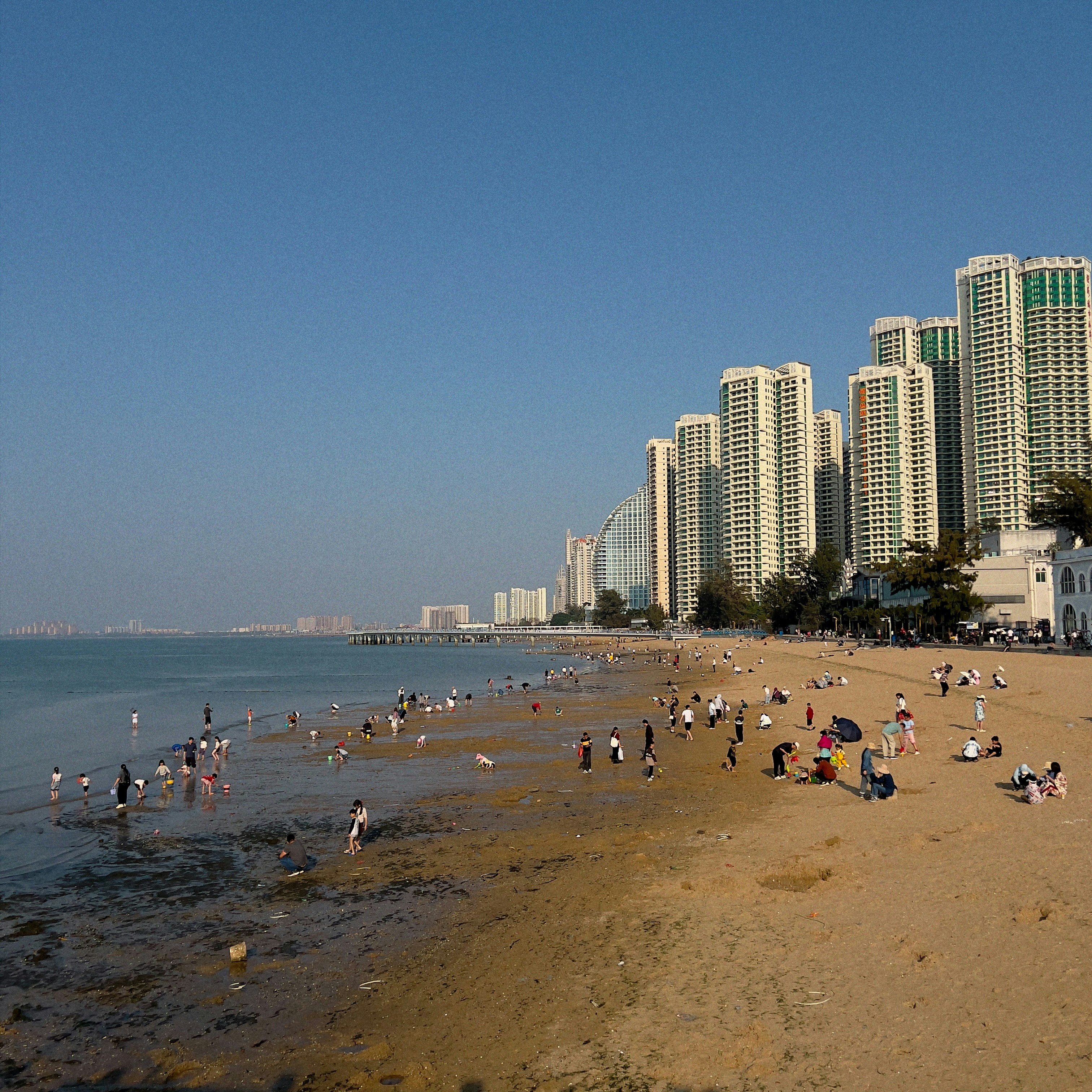Skyline by the Sea: A Palm-Studded Beachfront with Modern Towers