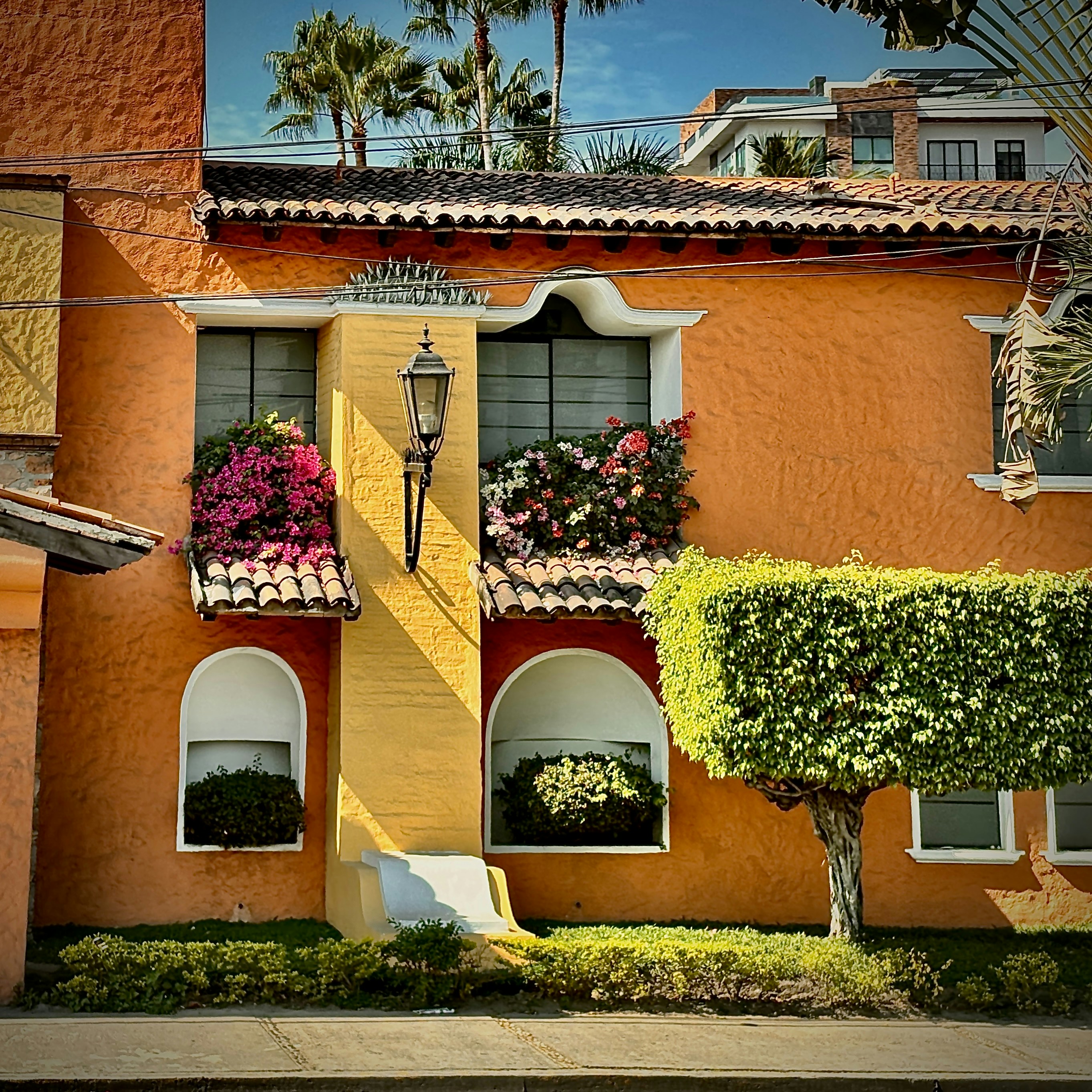 Sunlit Baja Villa: Orange Facade, Pink Bouquets, and a Standing Lantern