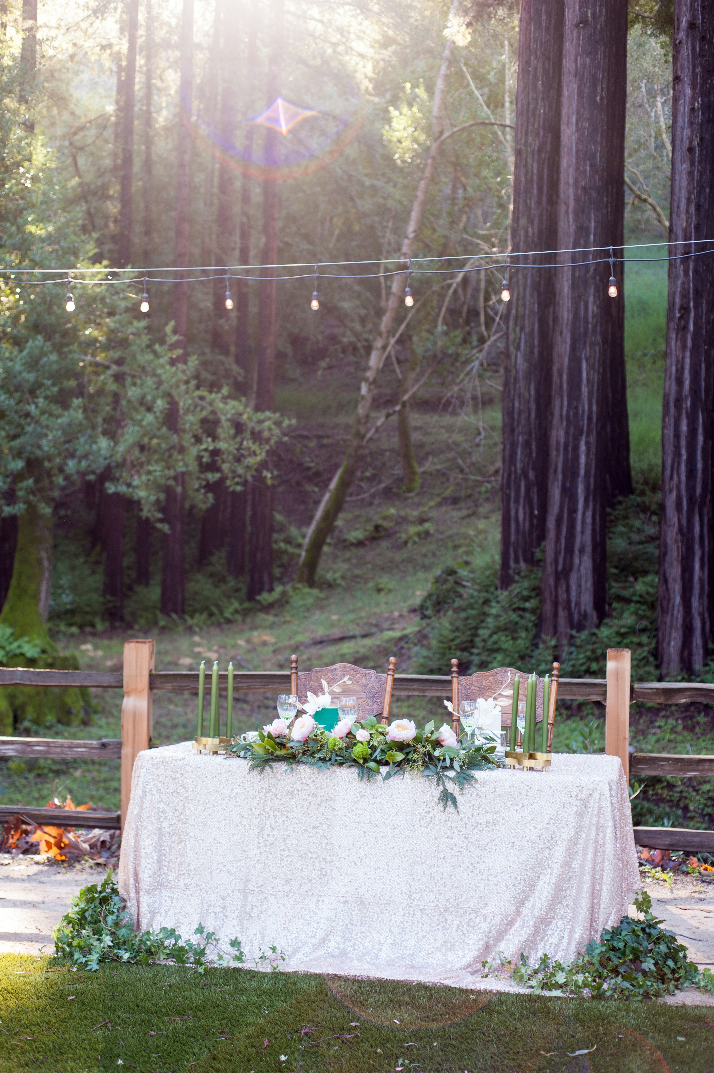 Sunlit Woodland Dinner: A Rustic Table Set in Evening Glow