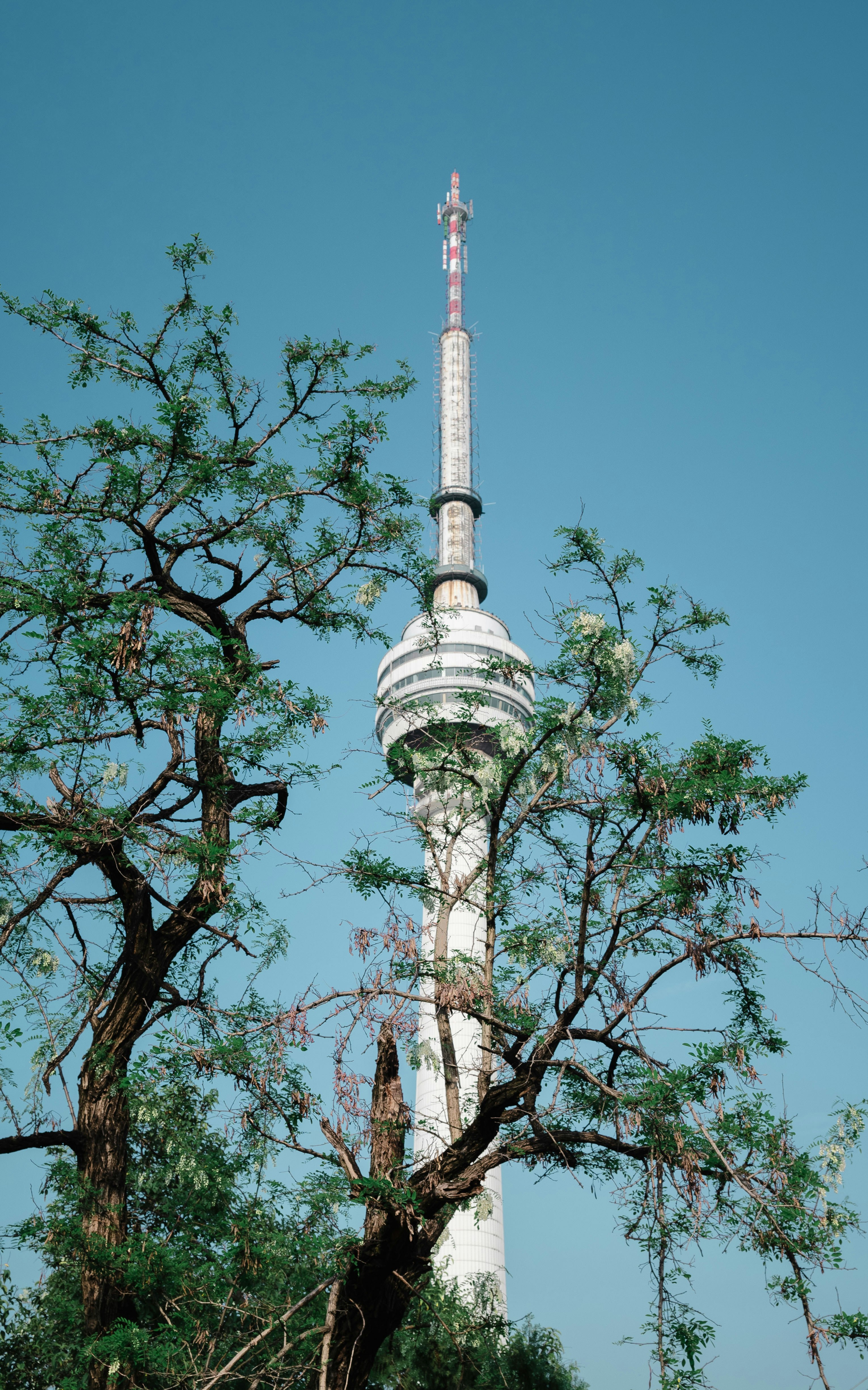 Tokyo’s Silvery Spire Pierced by Sky