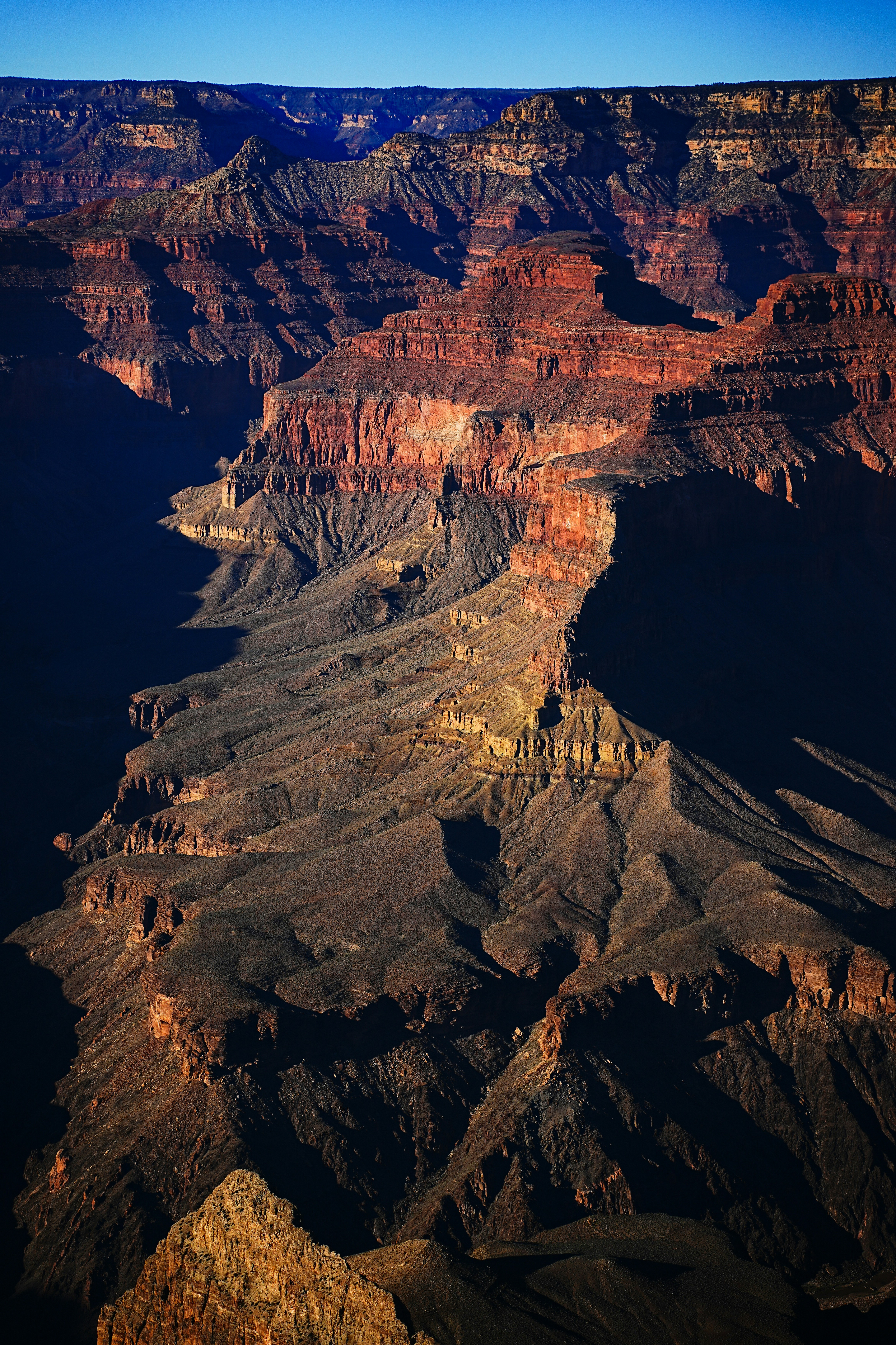 Sunlit Strata: A Rim-to-Rim Portrait of the Grand Canyon