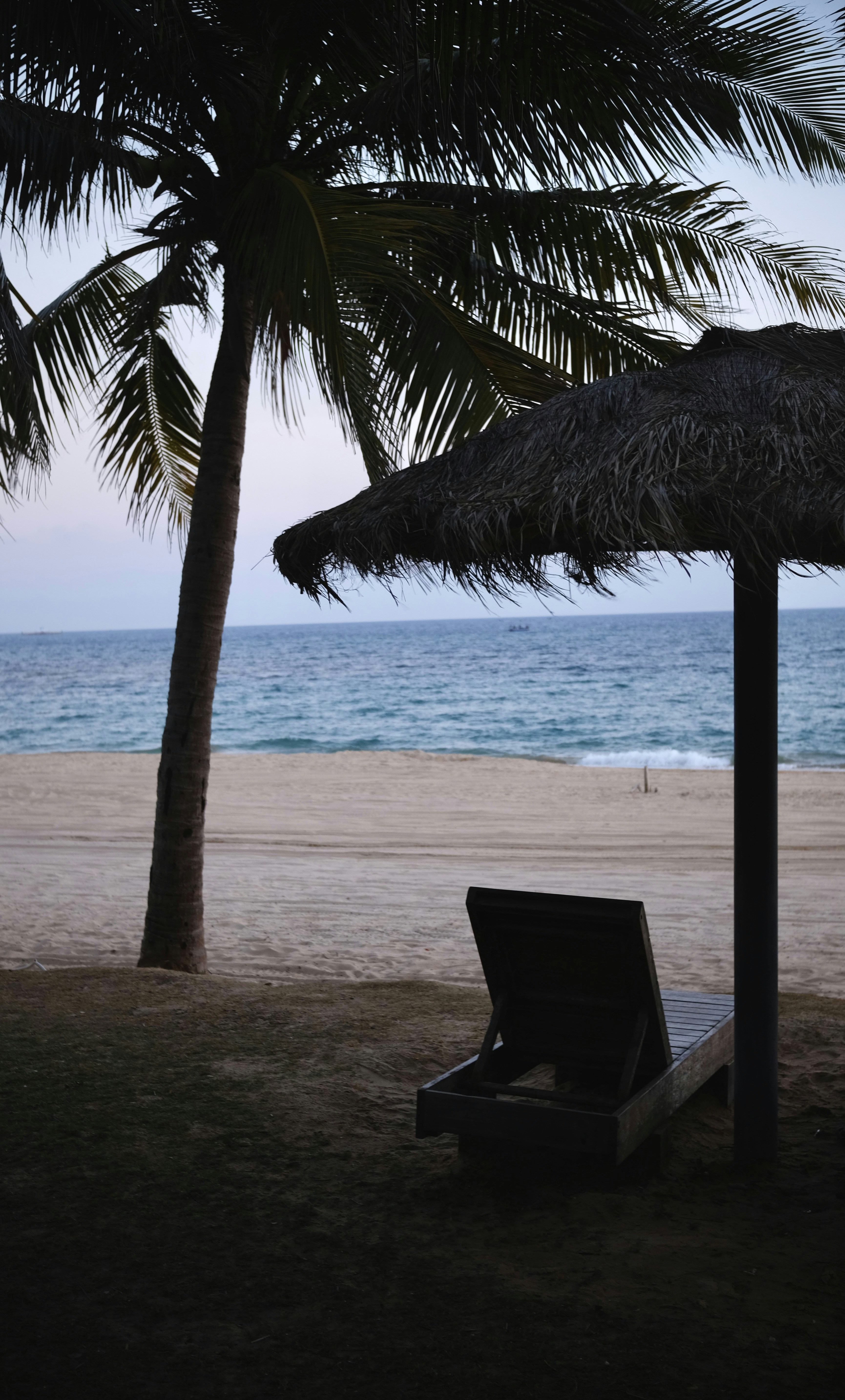 Palm Shade and Seaside Silence