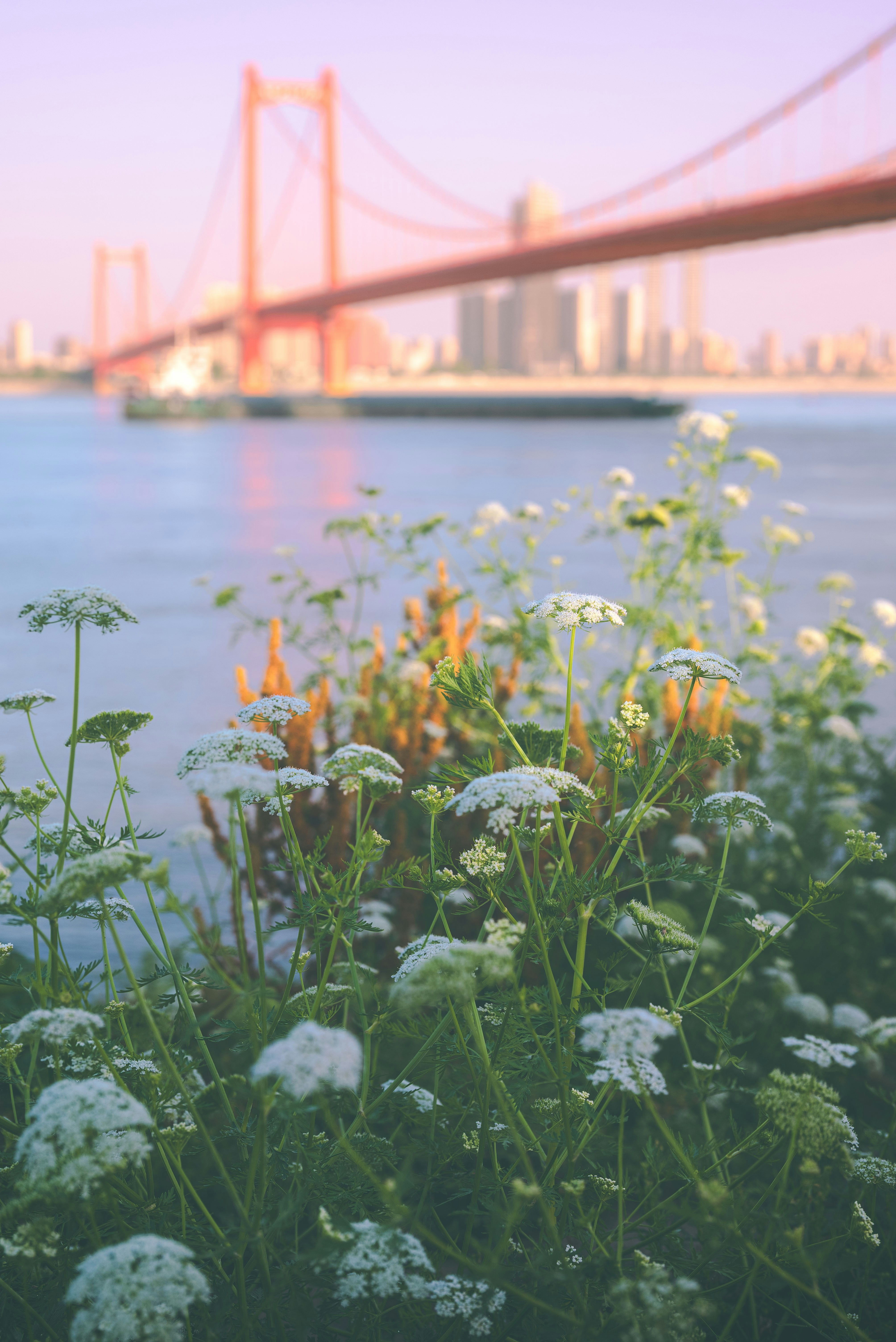 Red suspension bridge over calm water with flowers.
