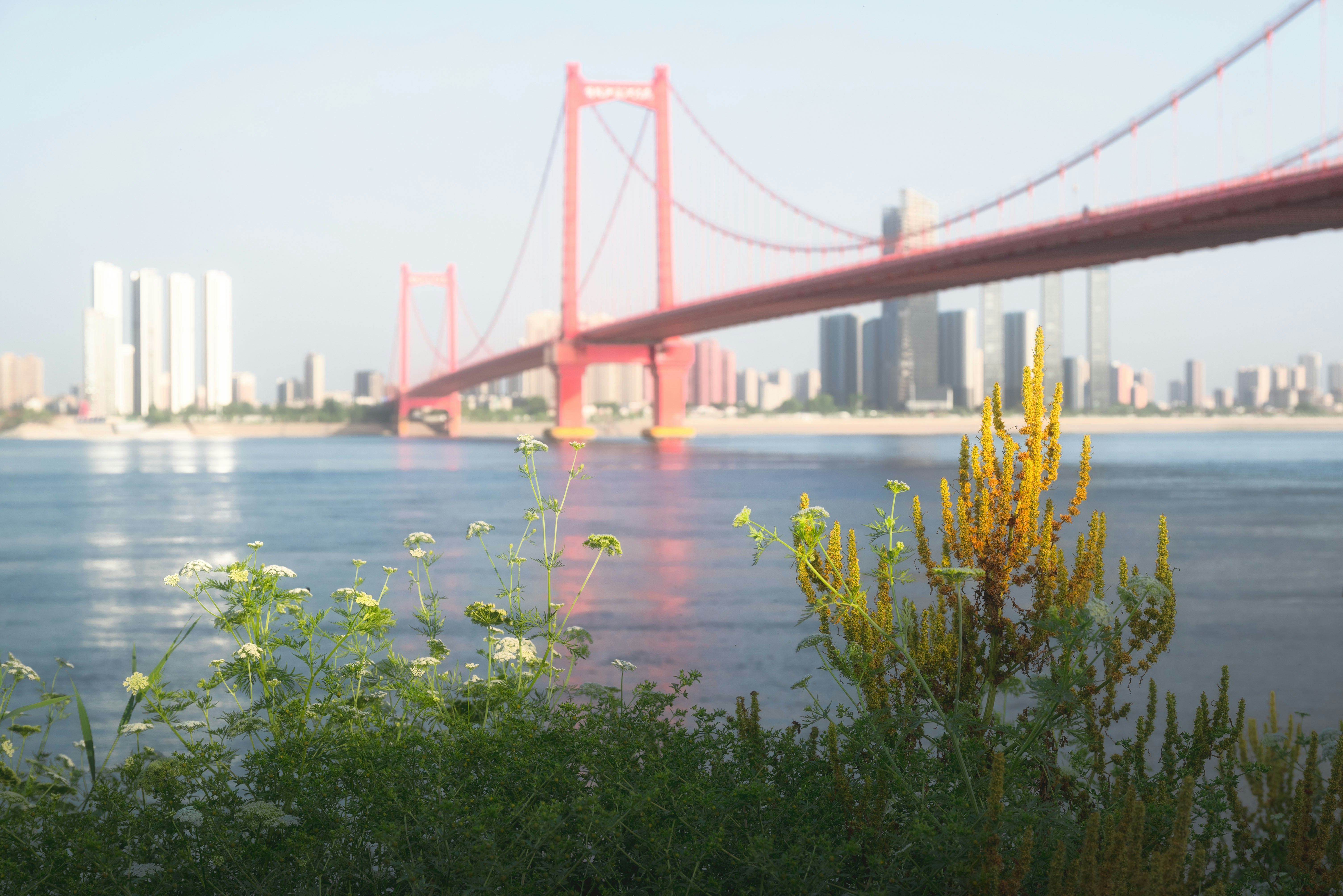 Red Suspension, Quiet Reach: Cityscape by the River