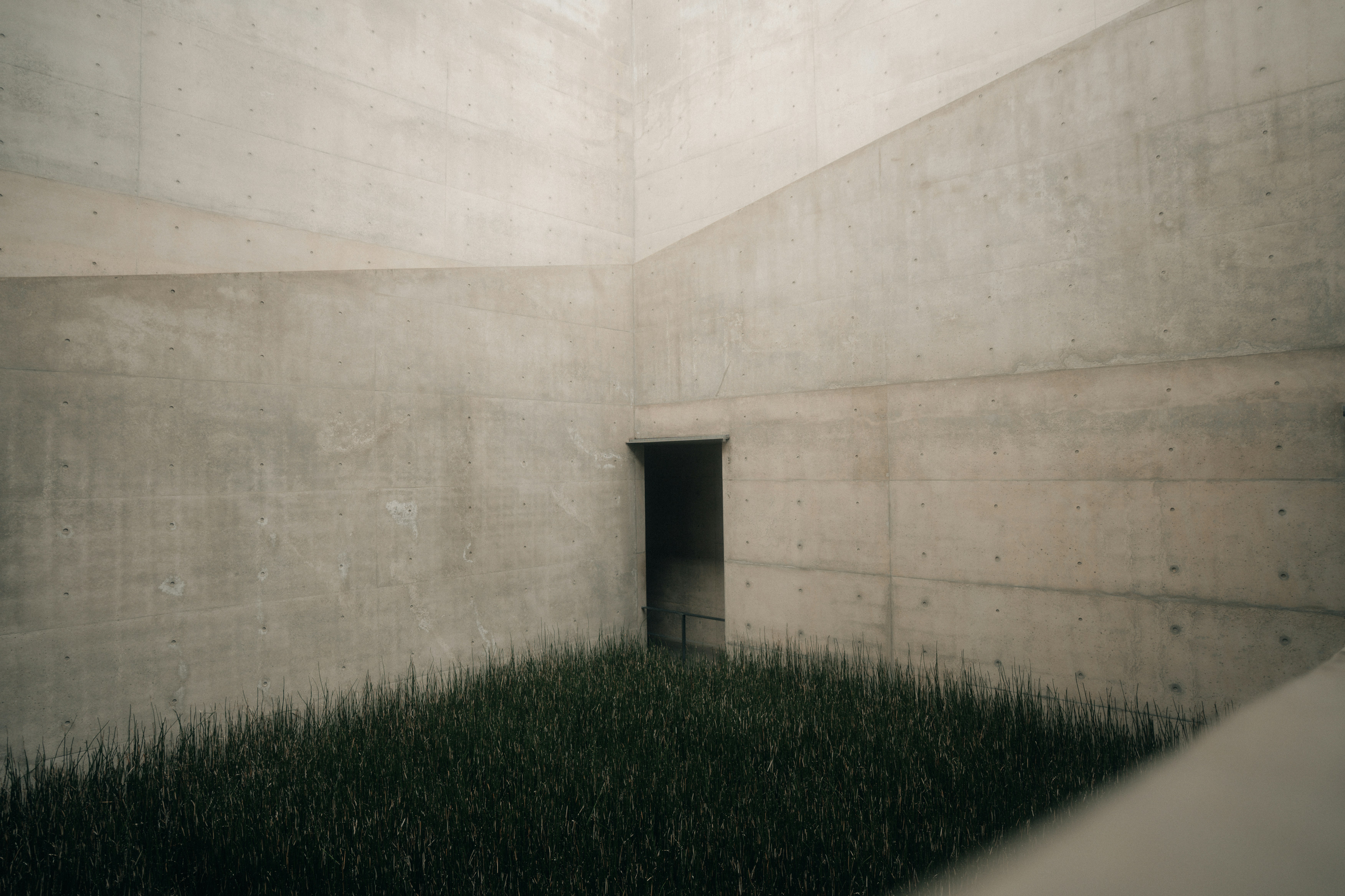 Concrete Atrium with Grass Edge