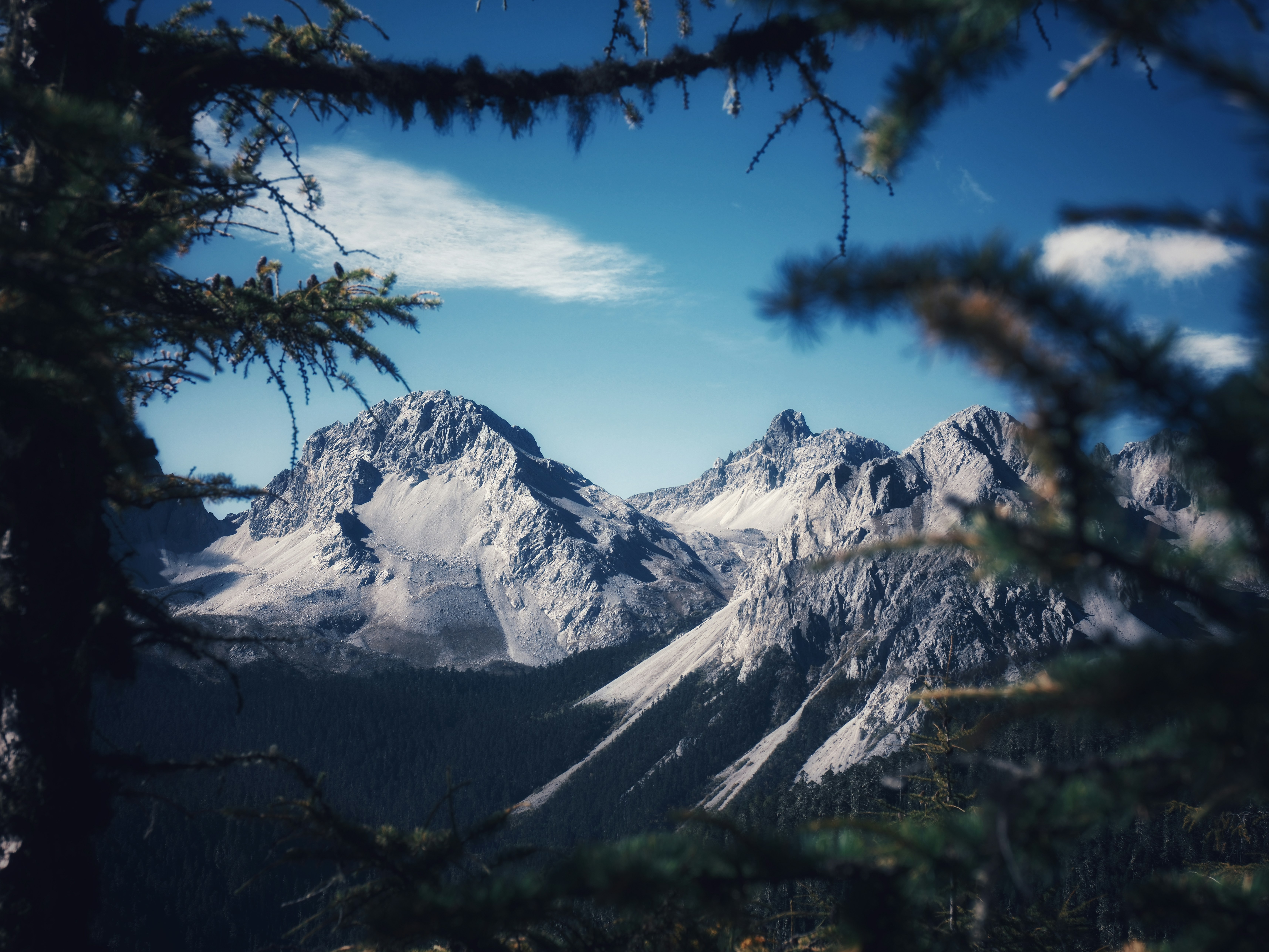Snowbound Peaks Framed by Forest: A Corridor to the Summit