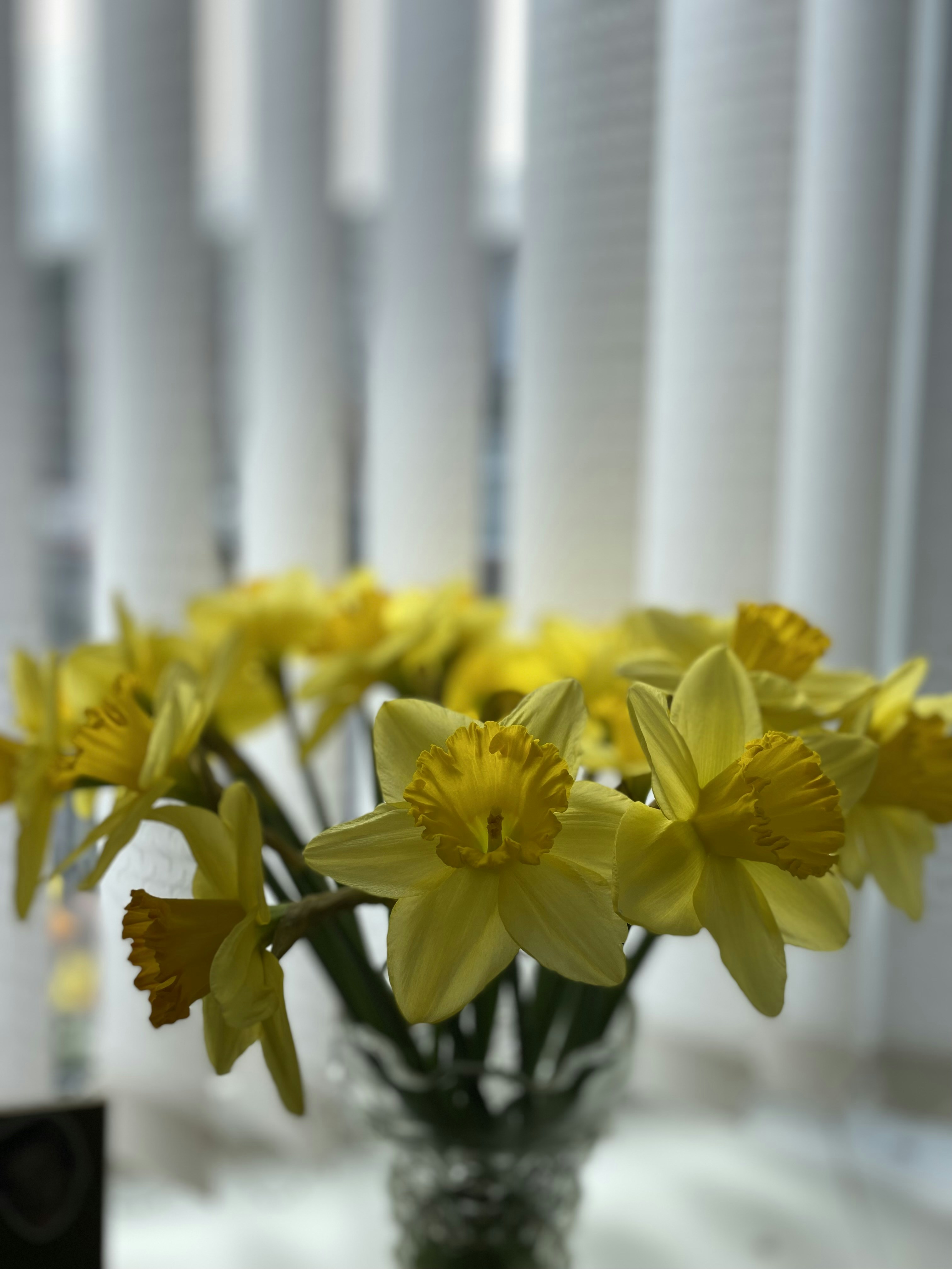 Sunny Narcissus Bouquet on a Blurred Window Sill