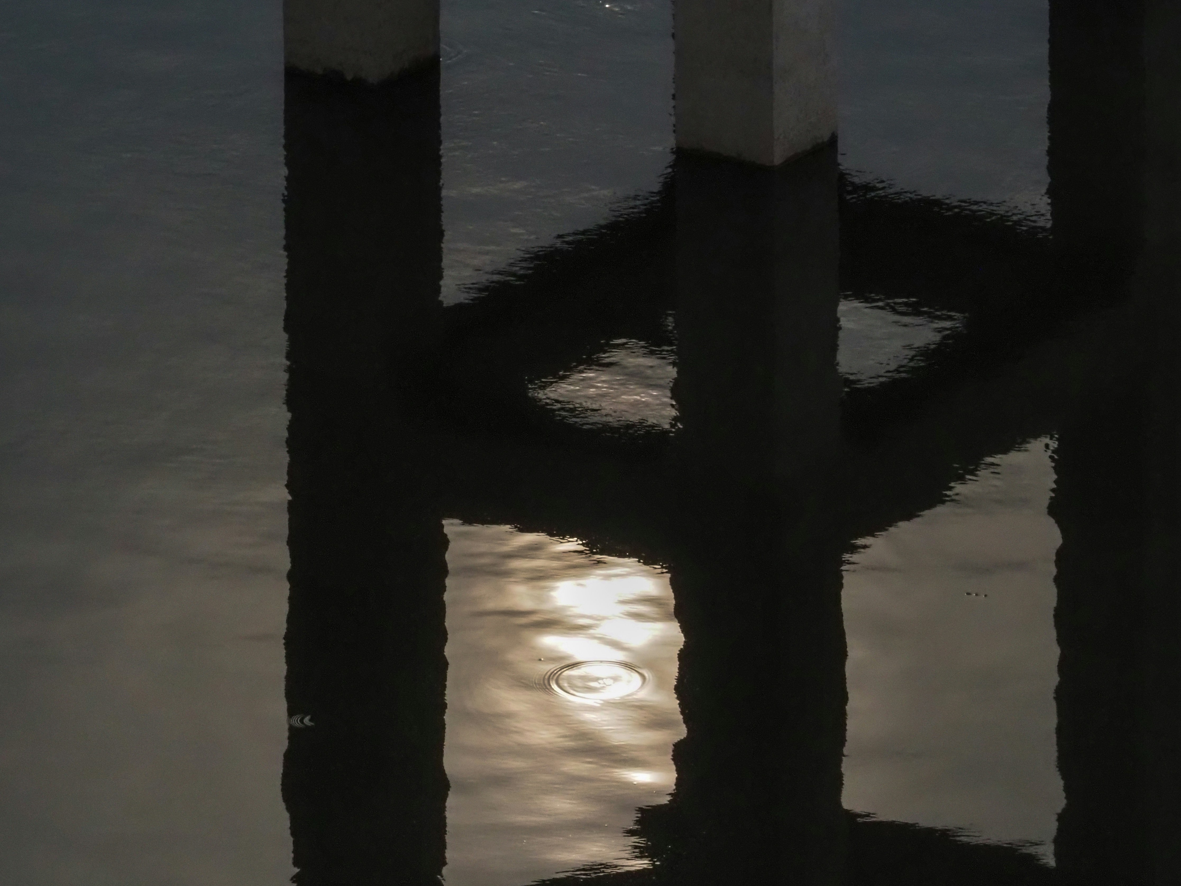 Reflections in Silent Pillars: Sunlit Ripples Under the Pier