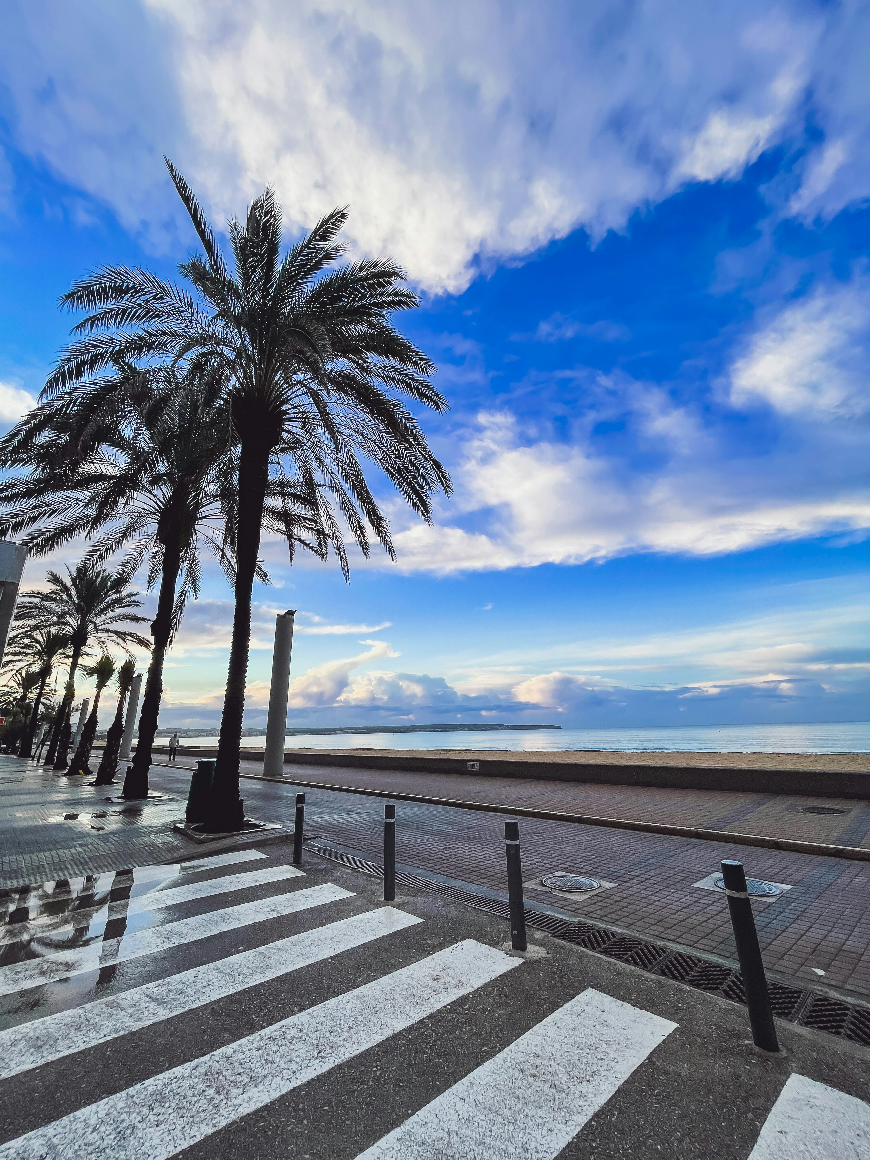 Promenade with palm silhouettes under a velvet sky