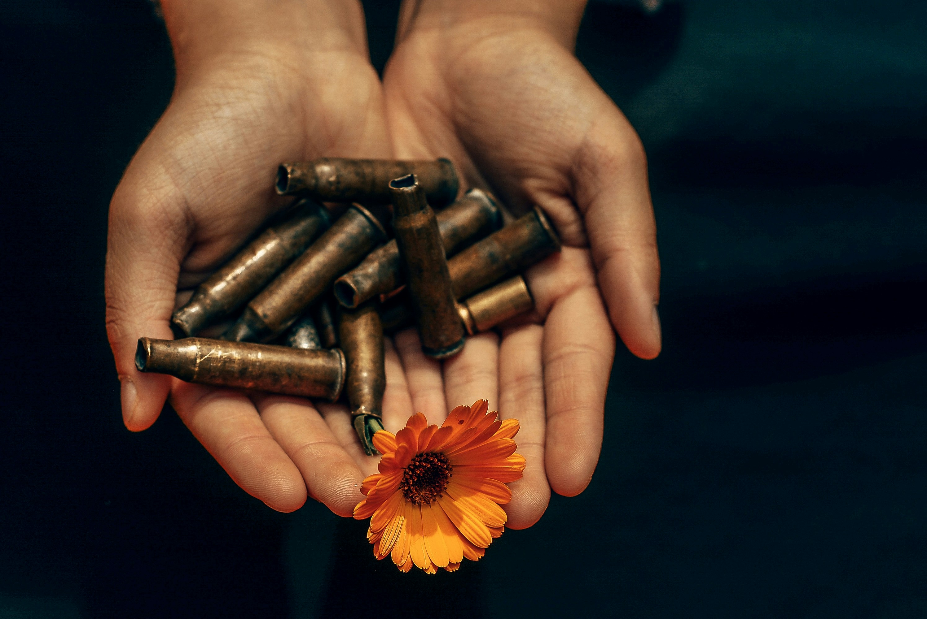 Hands Harbor a Final Burst: A Burden of Rounds and a Single Orange Bloom