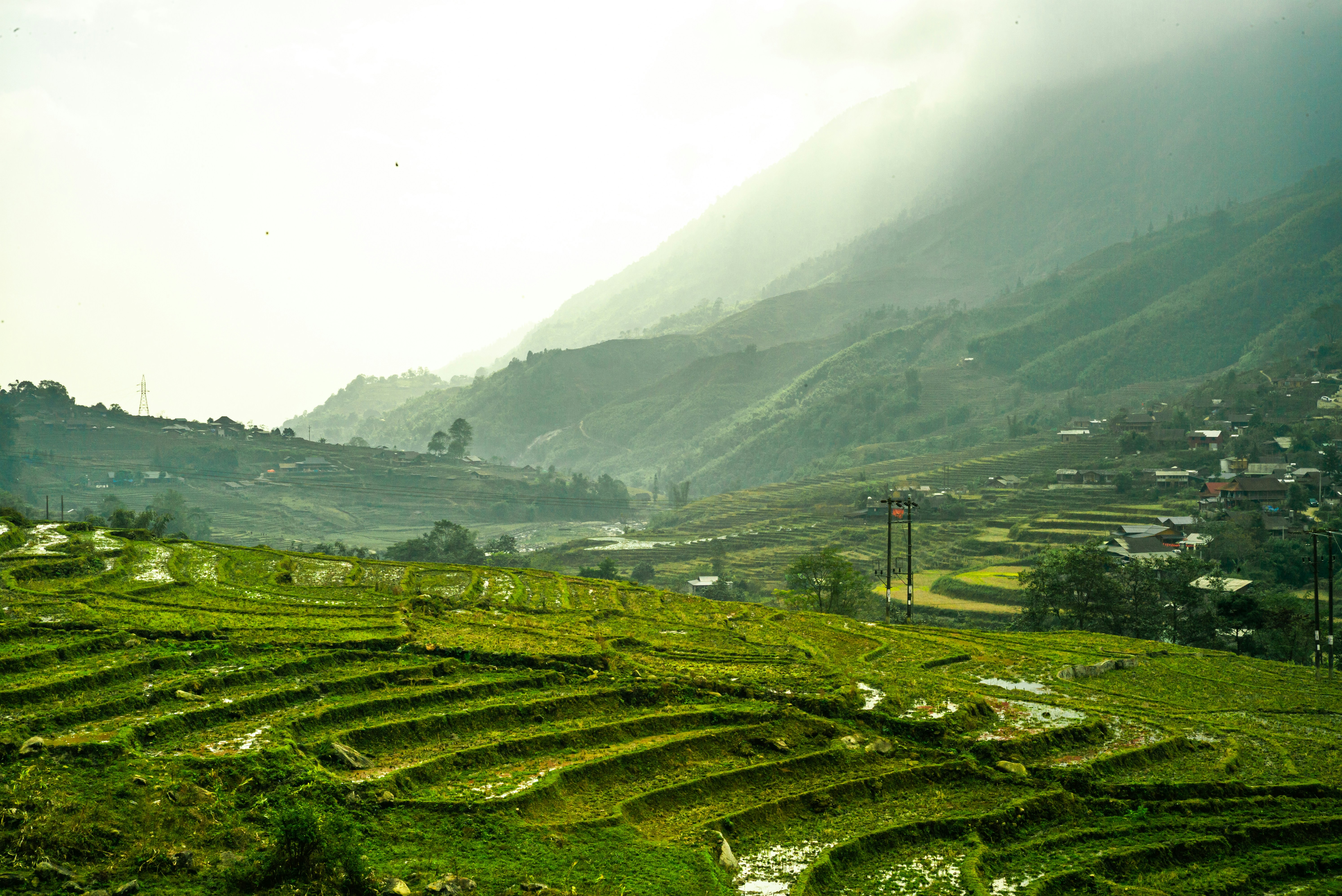 Terraced Valley Under Misty Peaks