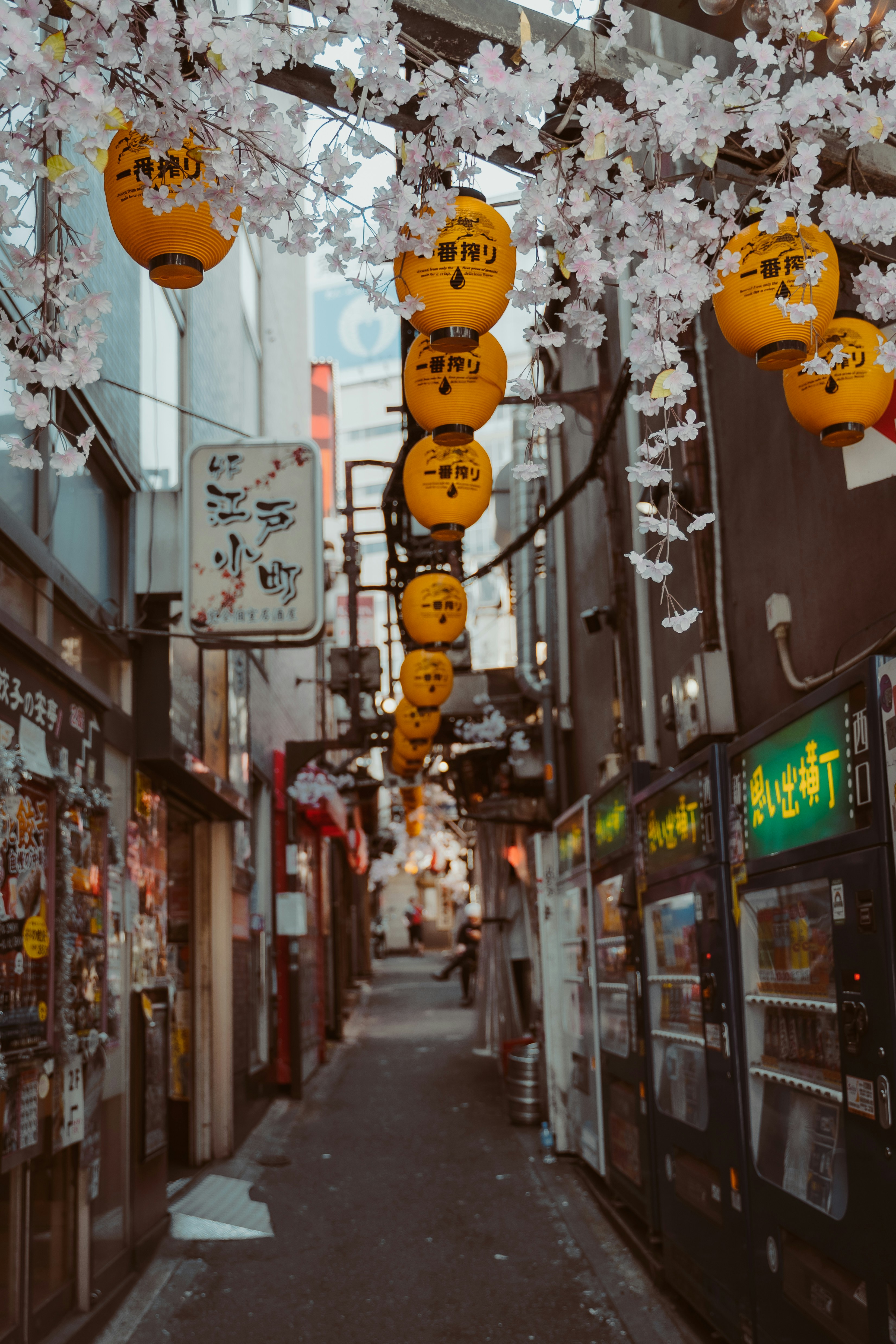 Lantern-lit Alleyway Forlorn Yet Lively