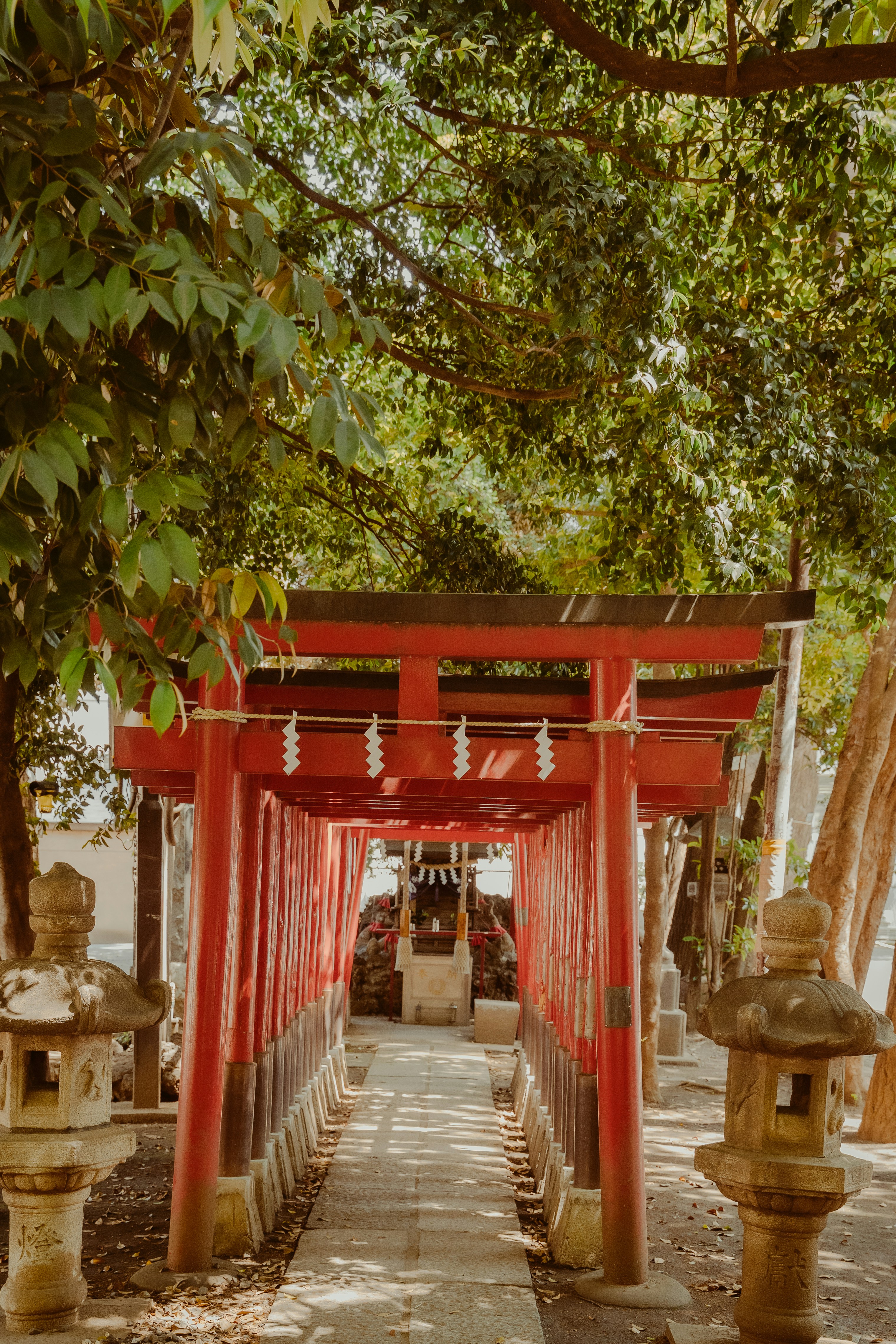 Red Torii Corridor: A Sacred Path Through Lantern Light