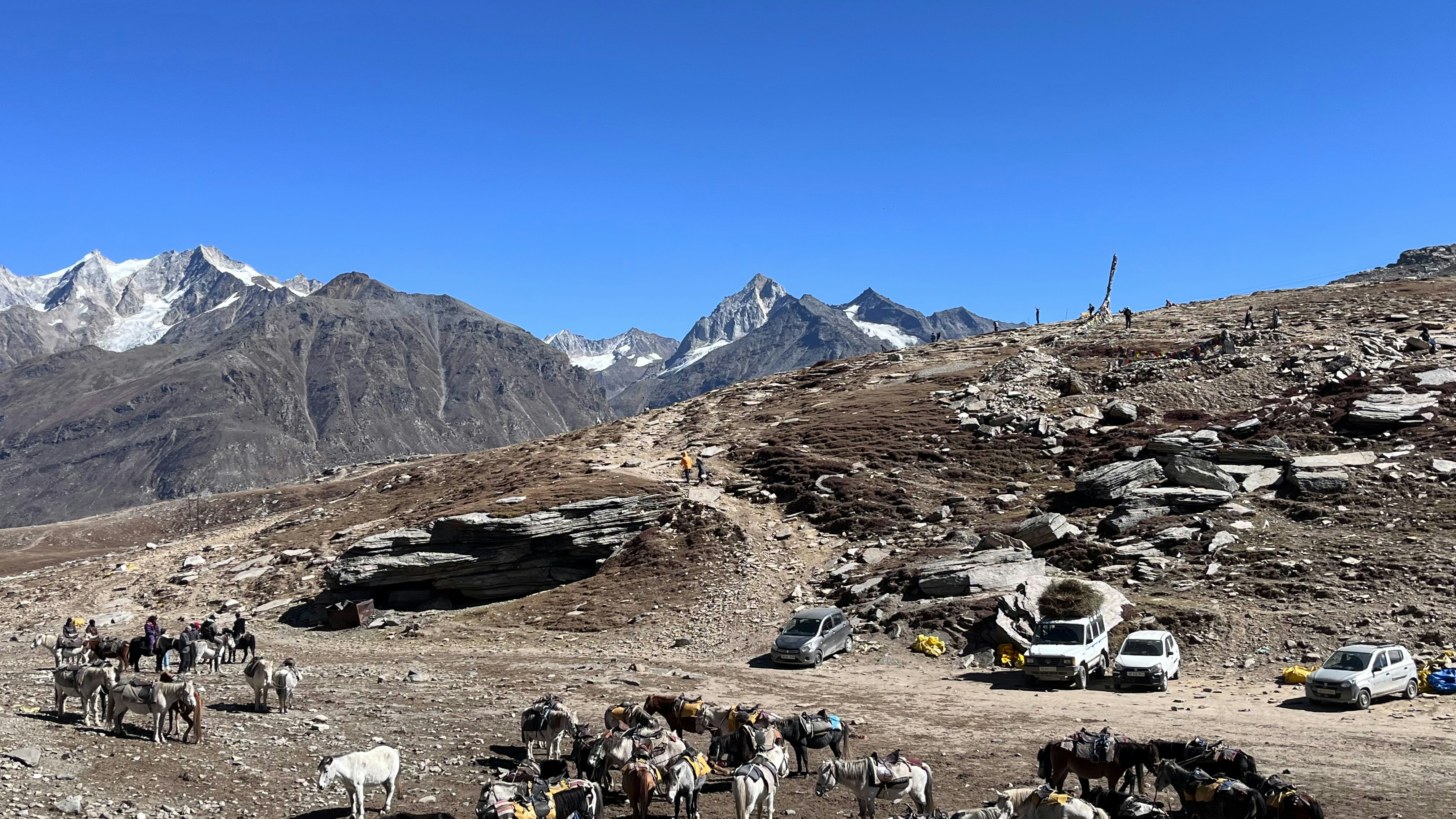 Herding in the High Pass: Caravan and Vehicles Beneath Snow-Capped Ranges