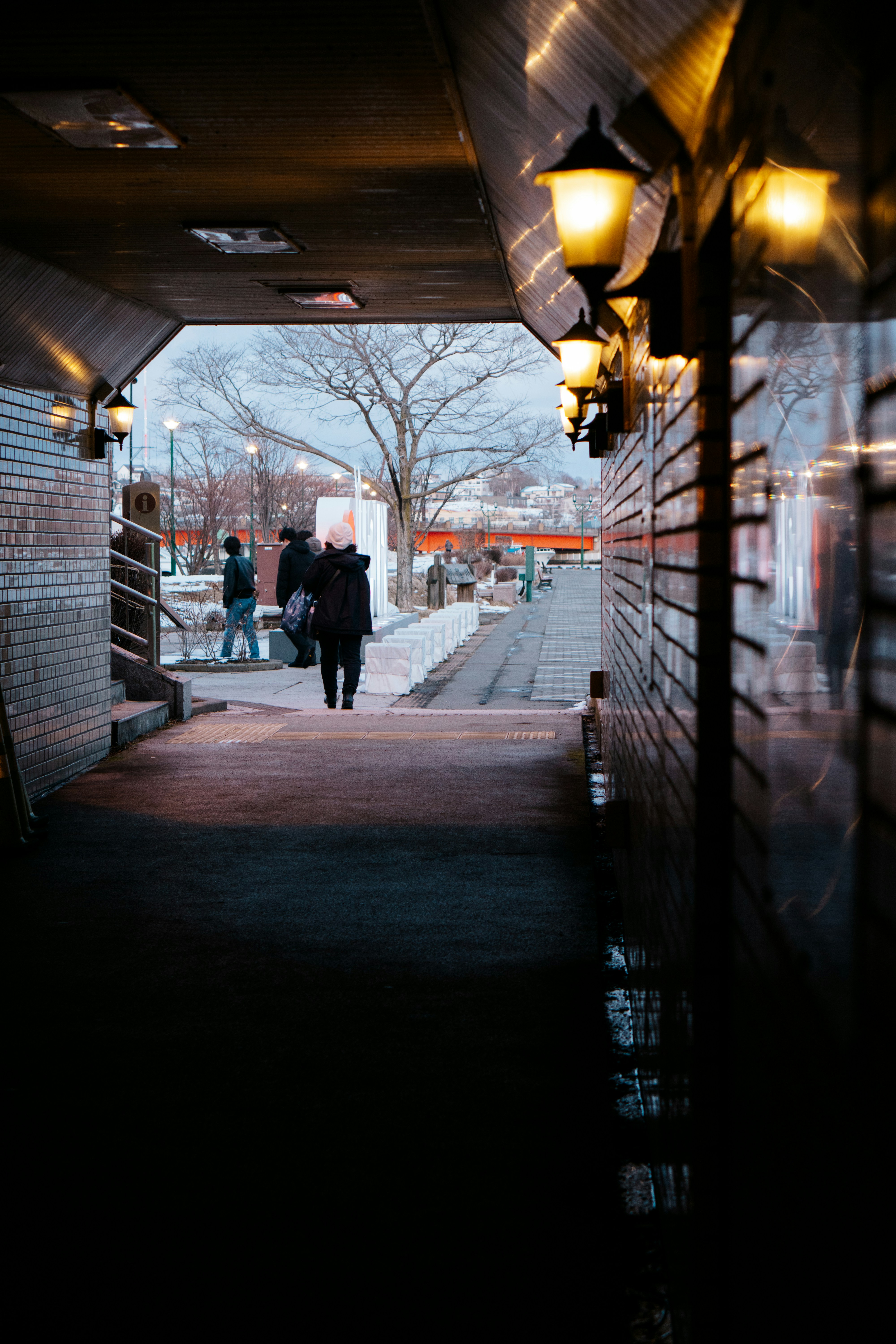 Through the Welcoming Night: People in a City Passage