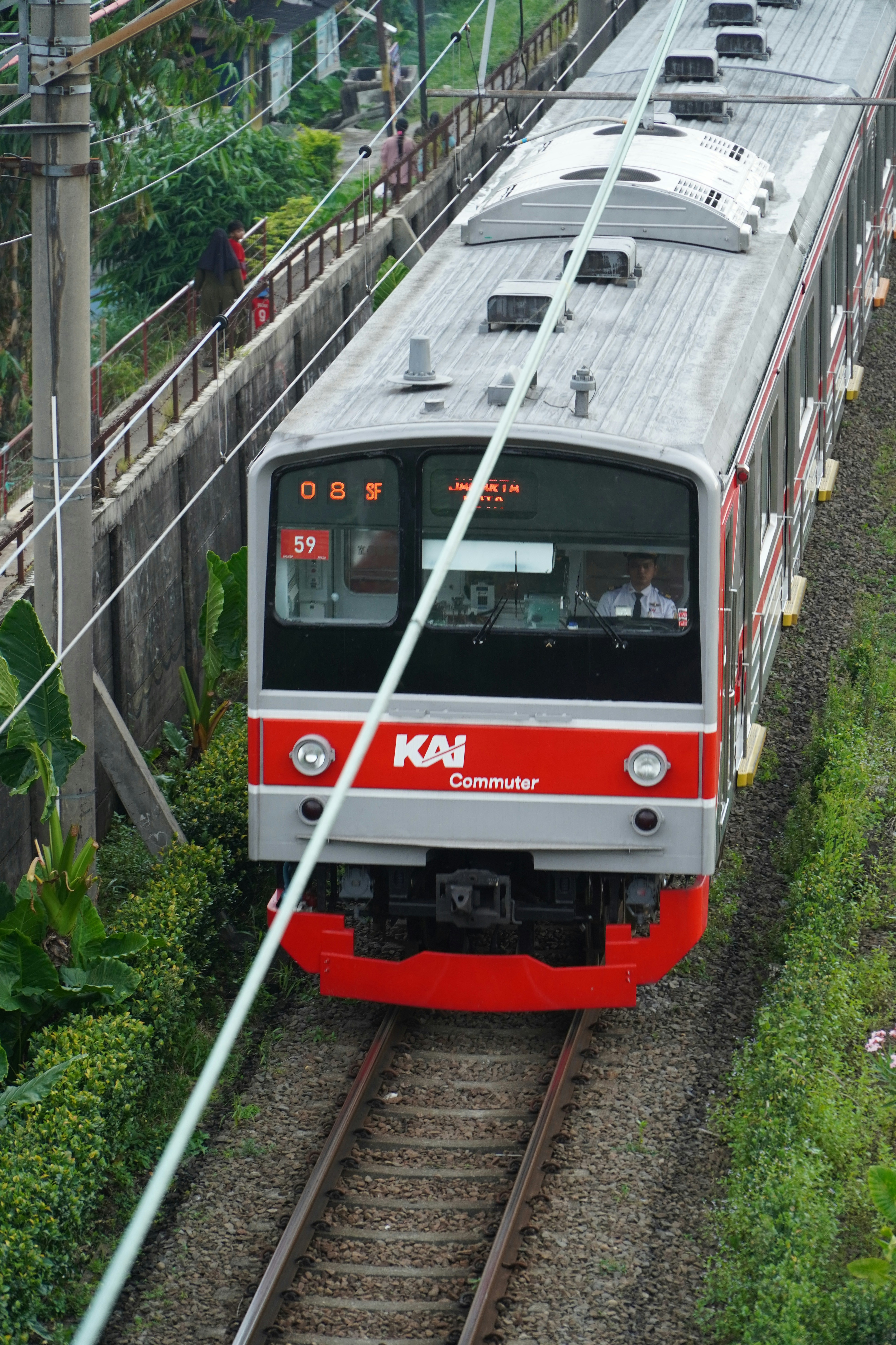Red-Striped Commuter Train Cutting Through Verdant Vines