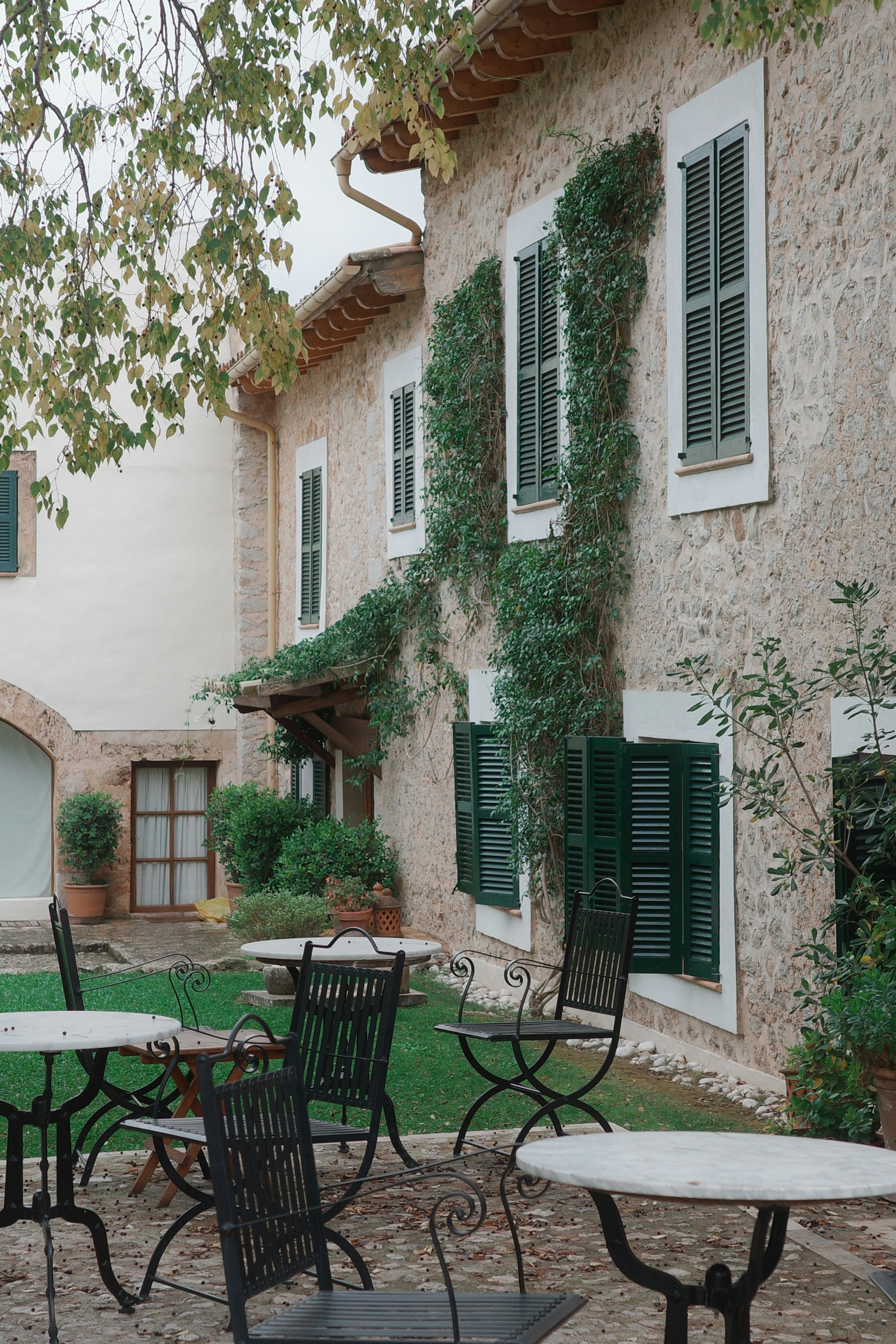 Cascading ivy on a sunlit stone courtyard inn