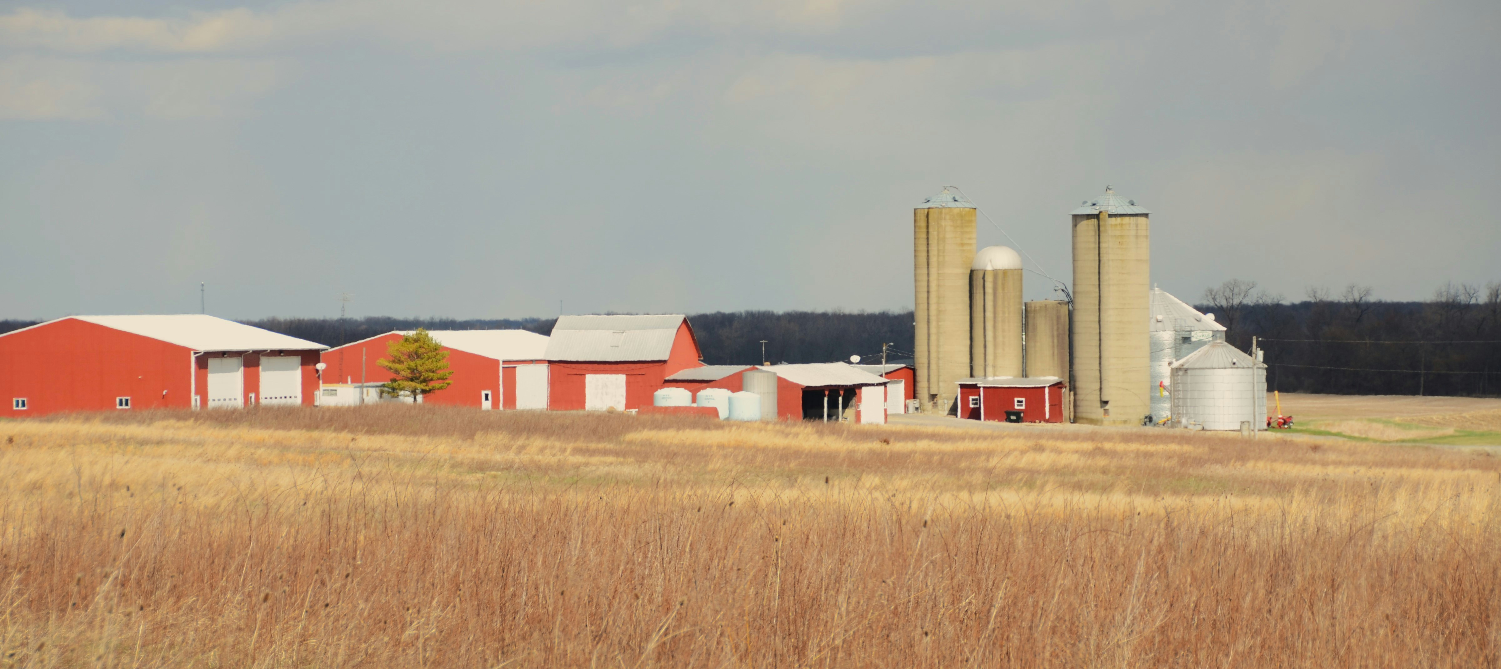 Barns and Silos Stretched Across a Golden Prairie