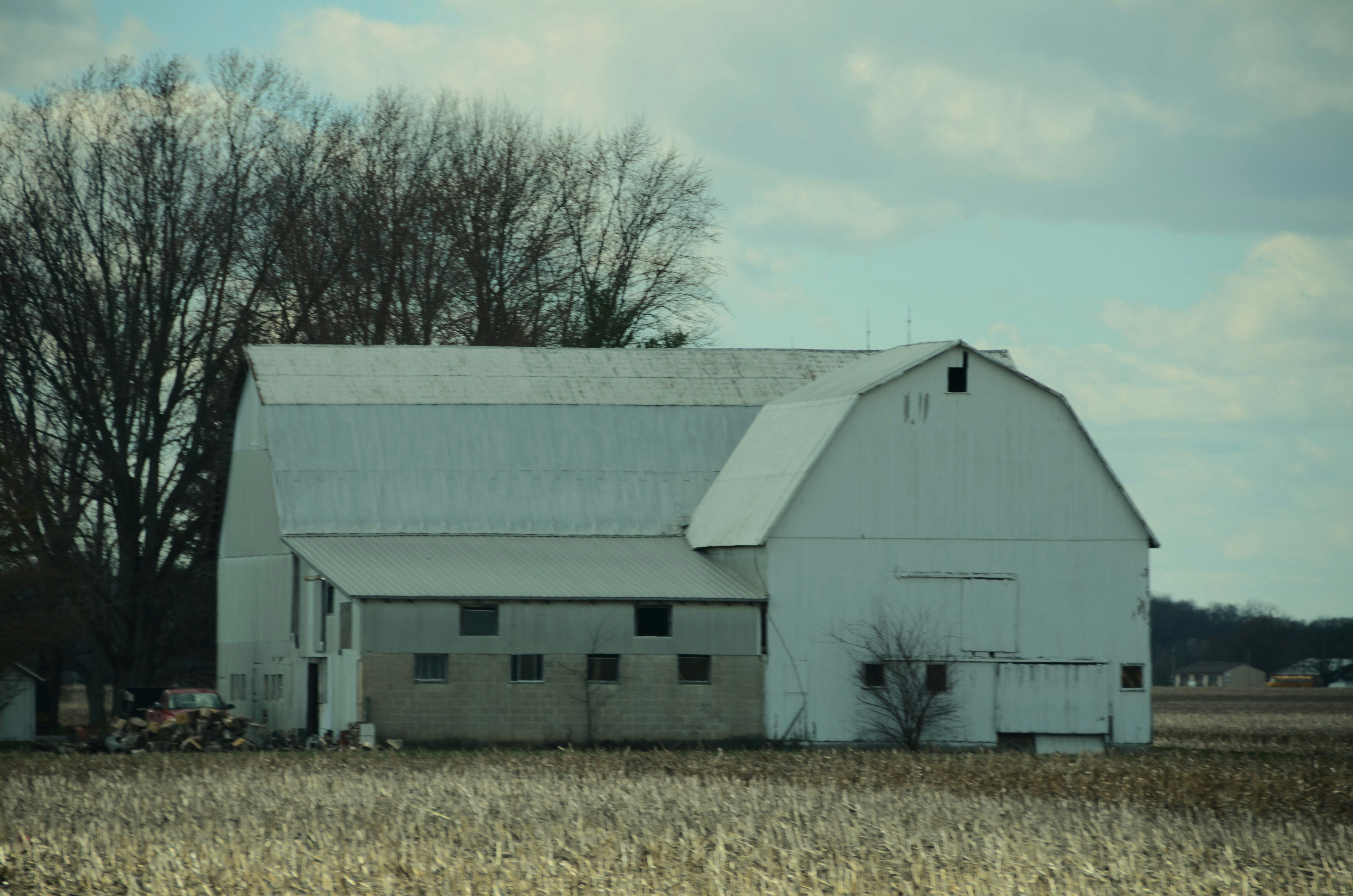 Cracked-white Barn in a Quiet Agrarian Field