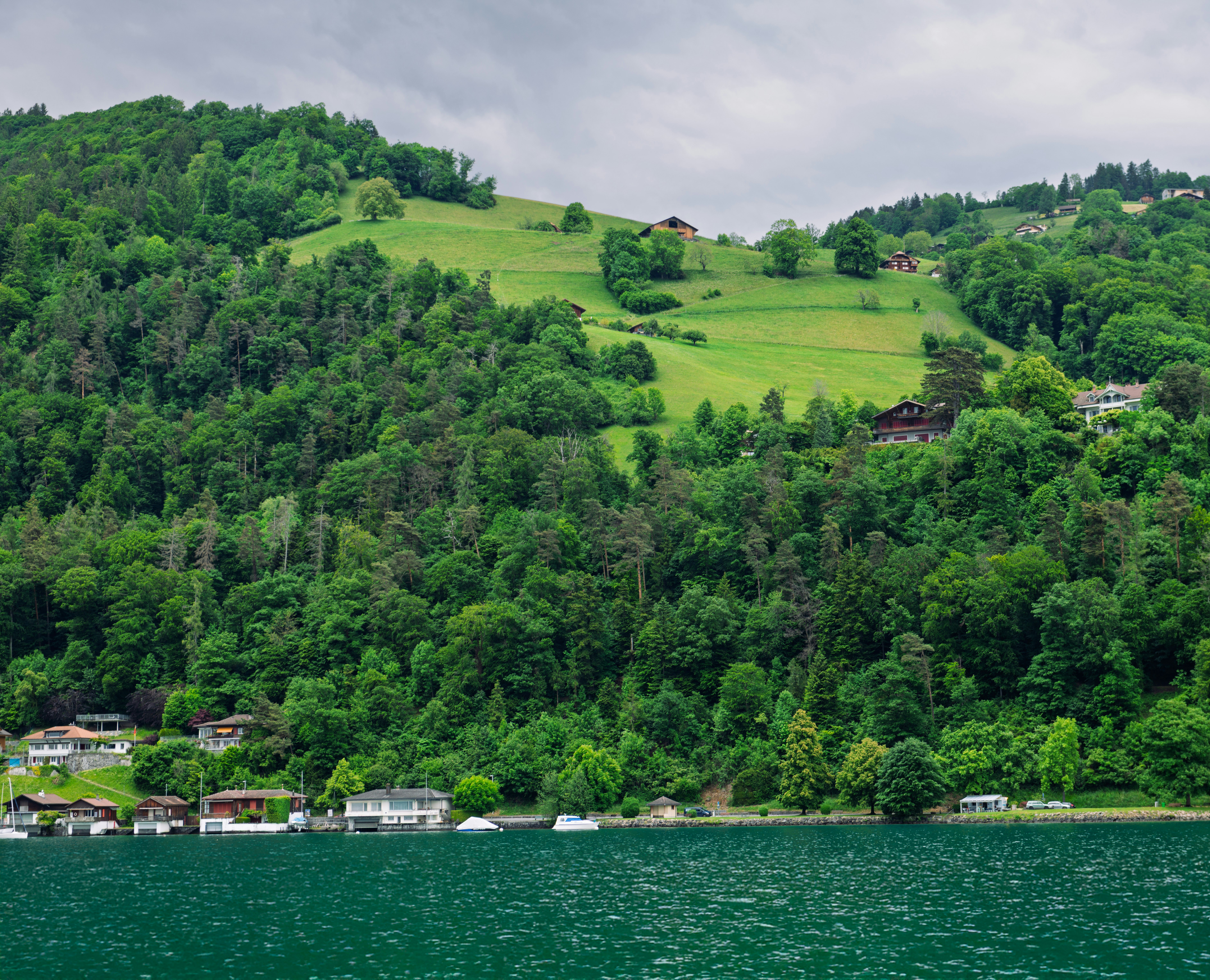 Green Slope Embrace by the Waters