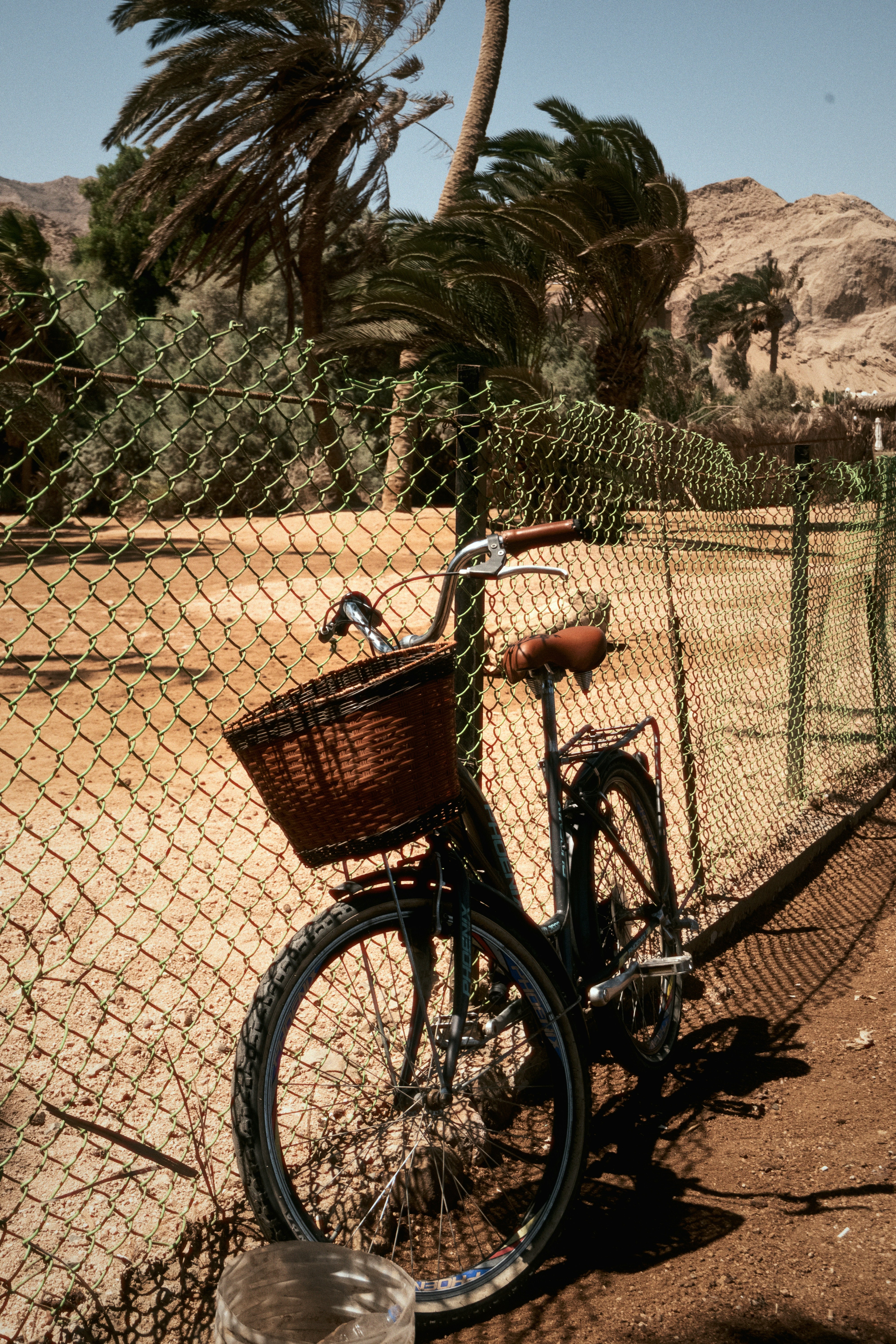 Sunlit Bicycle by the Fence: A Desert Morning with Palm Shadows