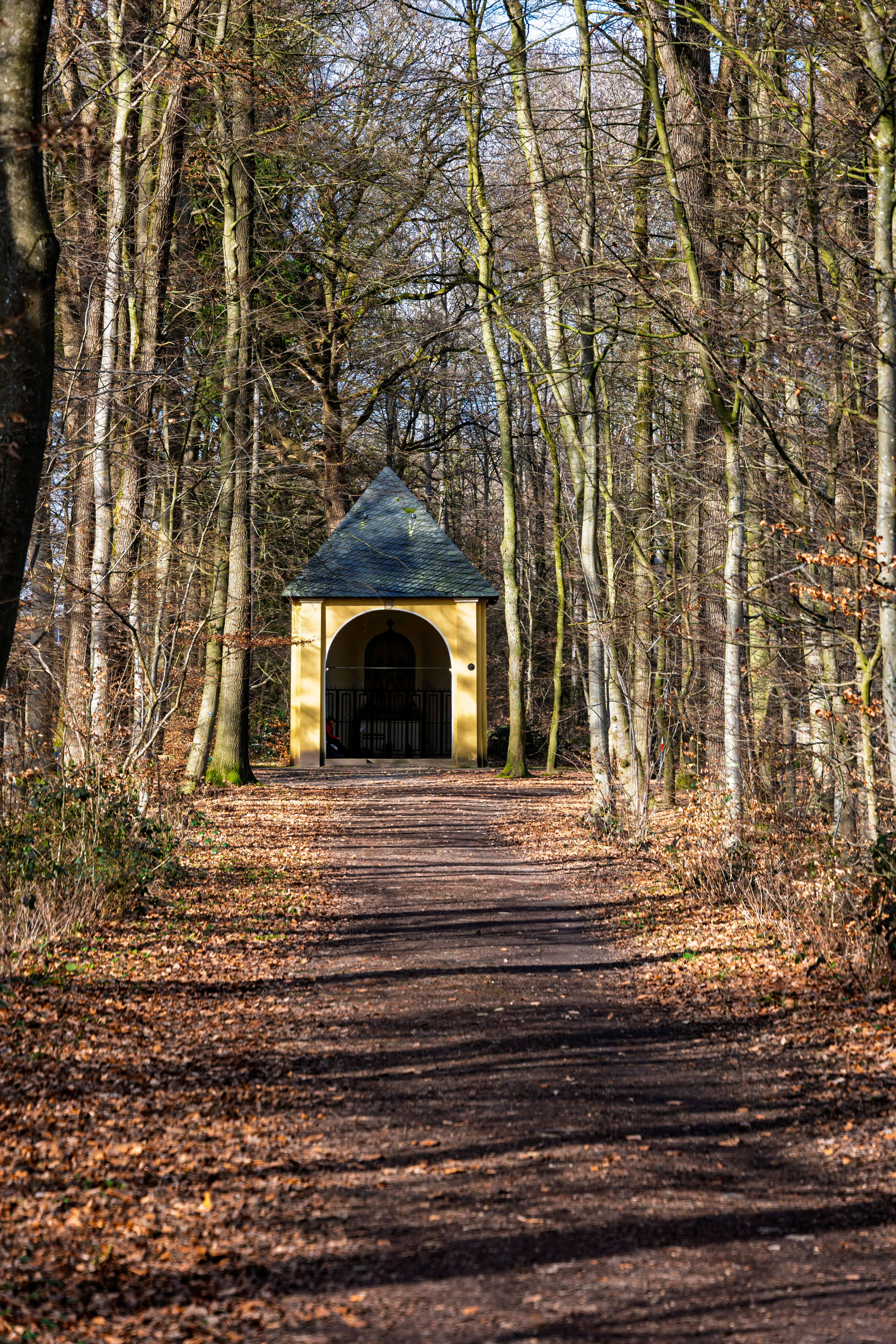 Whispering Pavilion at the Forest Clearing