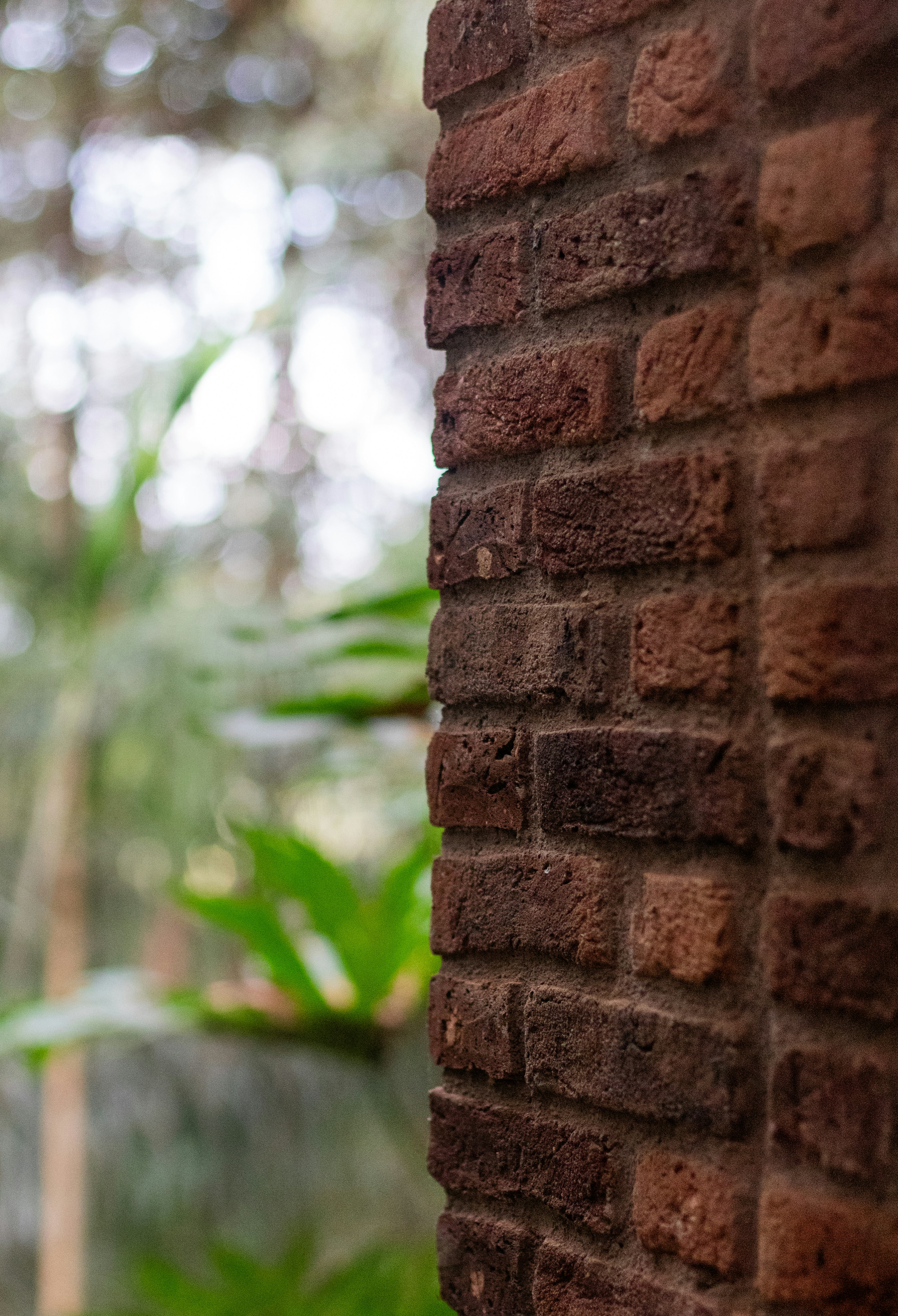Brick By Brick: A Narrow Edge of Texture