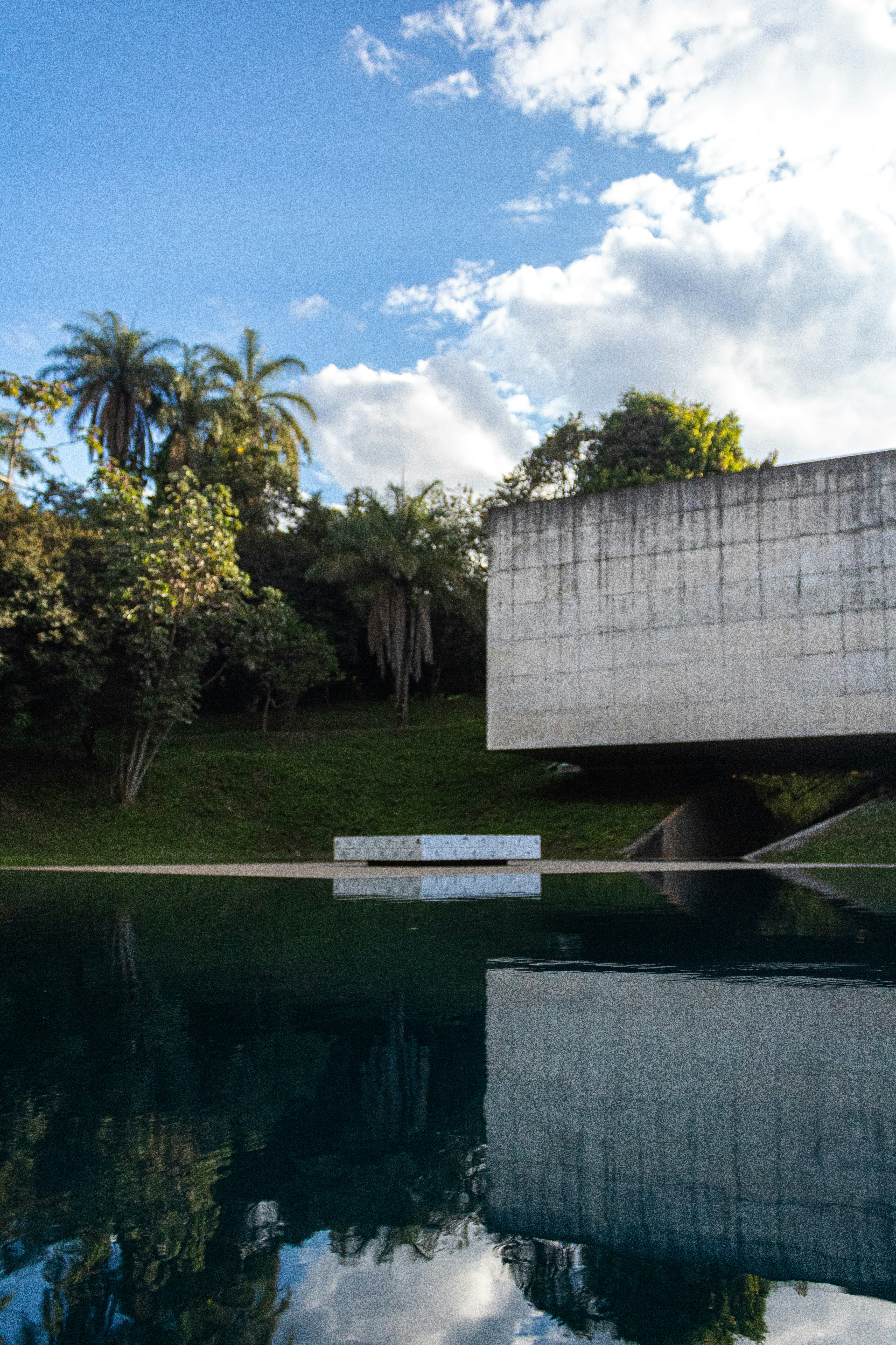 Reflection and Concrete: A Quiet Oasis by the Modern Bridge