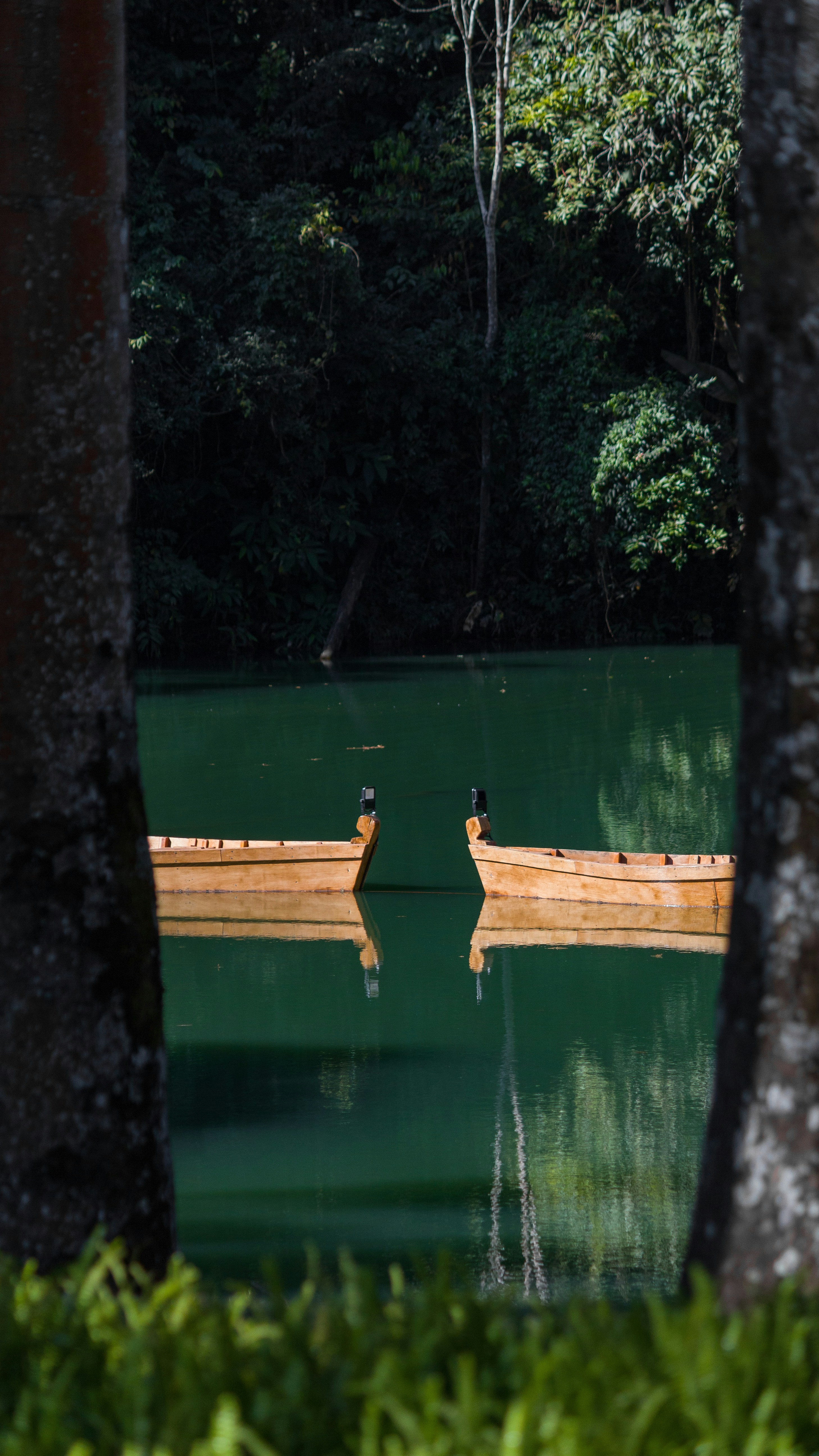 Mirror of Green Stillness: Boats Quietly Rest at Forest’s Edge