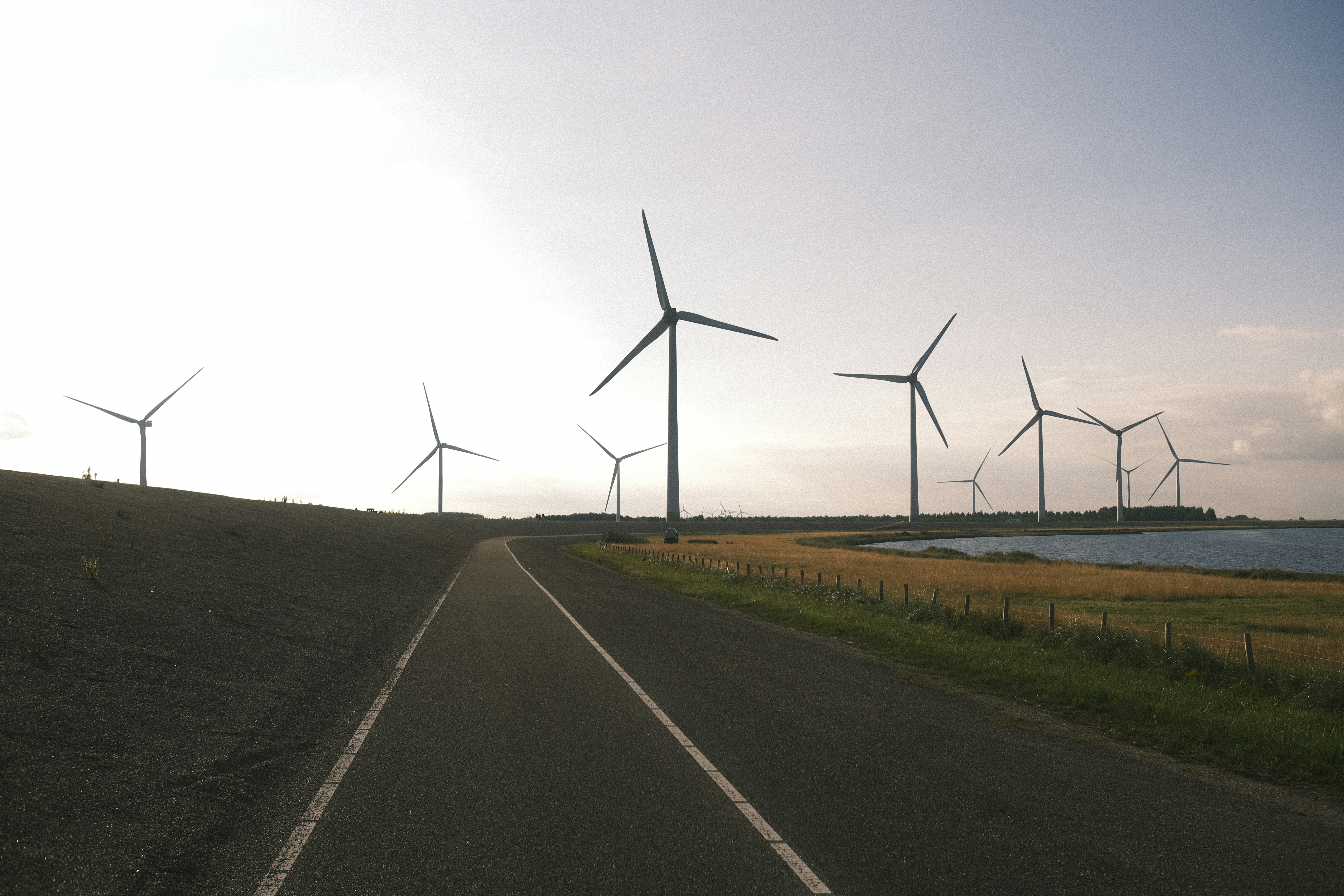 Roadside Wind: A Line of Giants Across the Distant Horizon