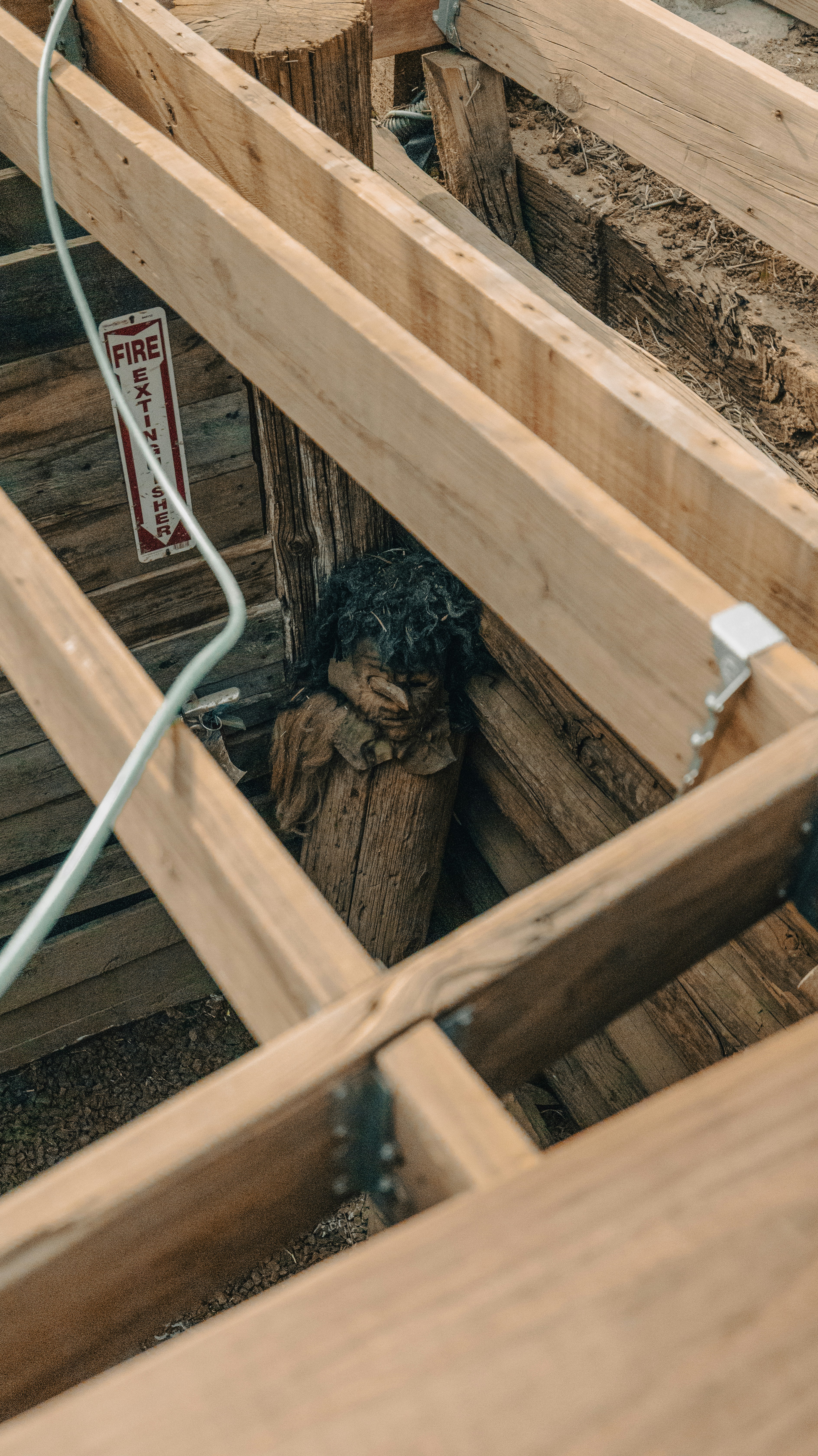 Hidden Figure in the Timber Frame