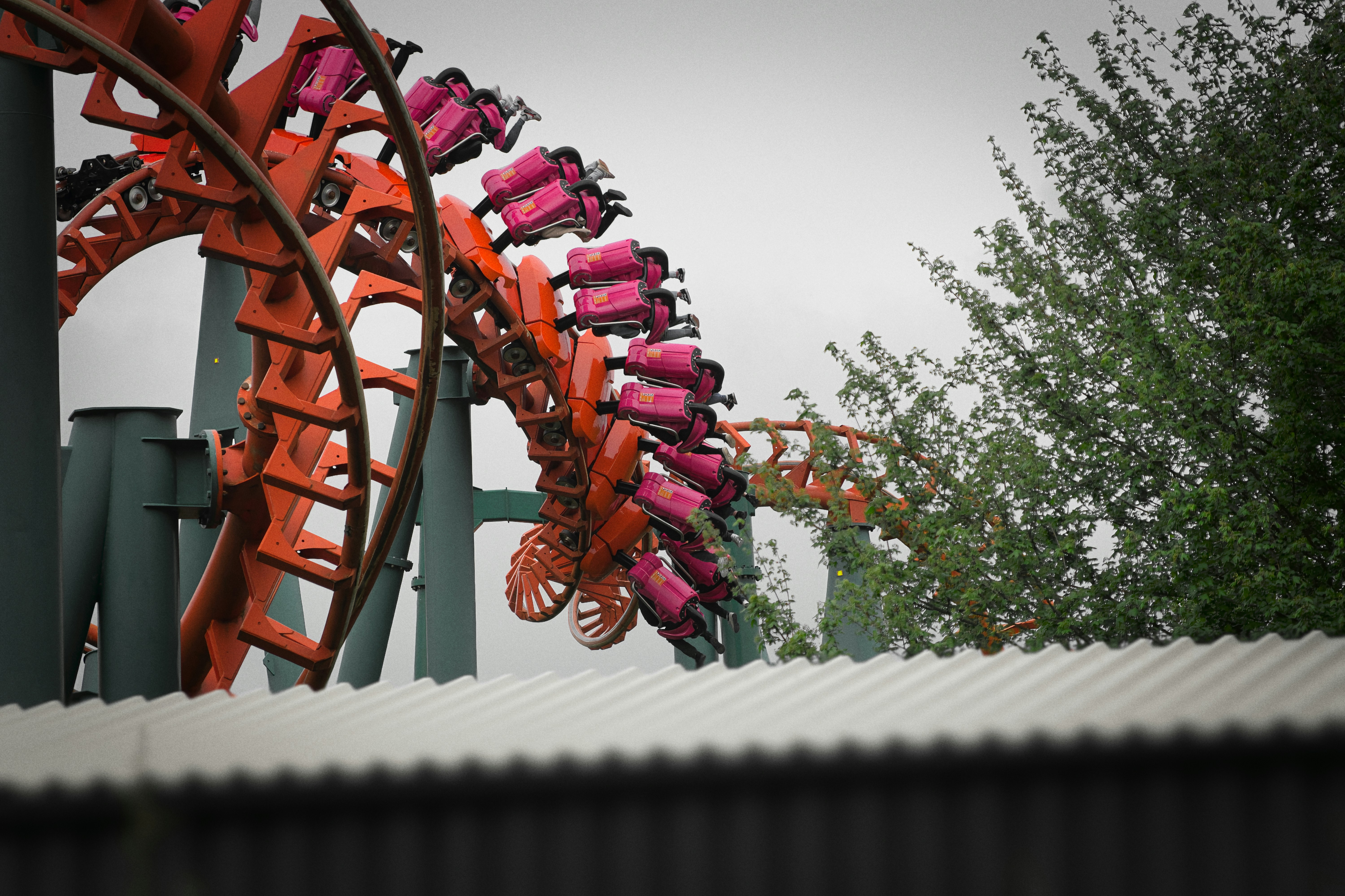 Dizzying Loop: Colorful Roller Coaster Whorl Over a Quiet Roofline