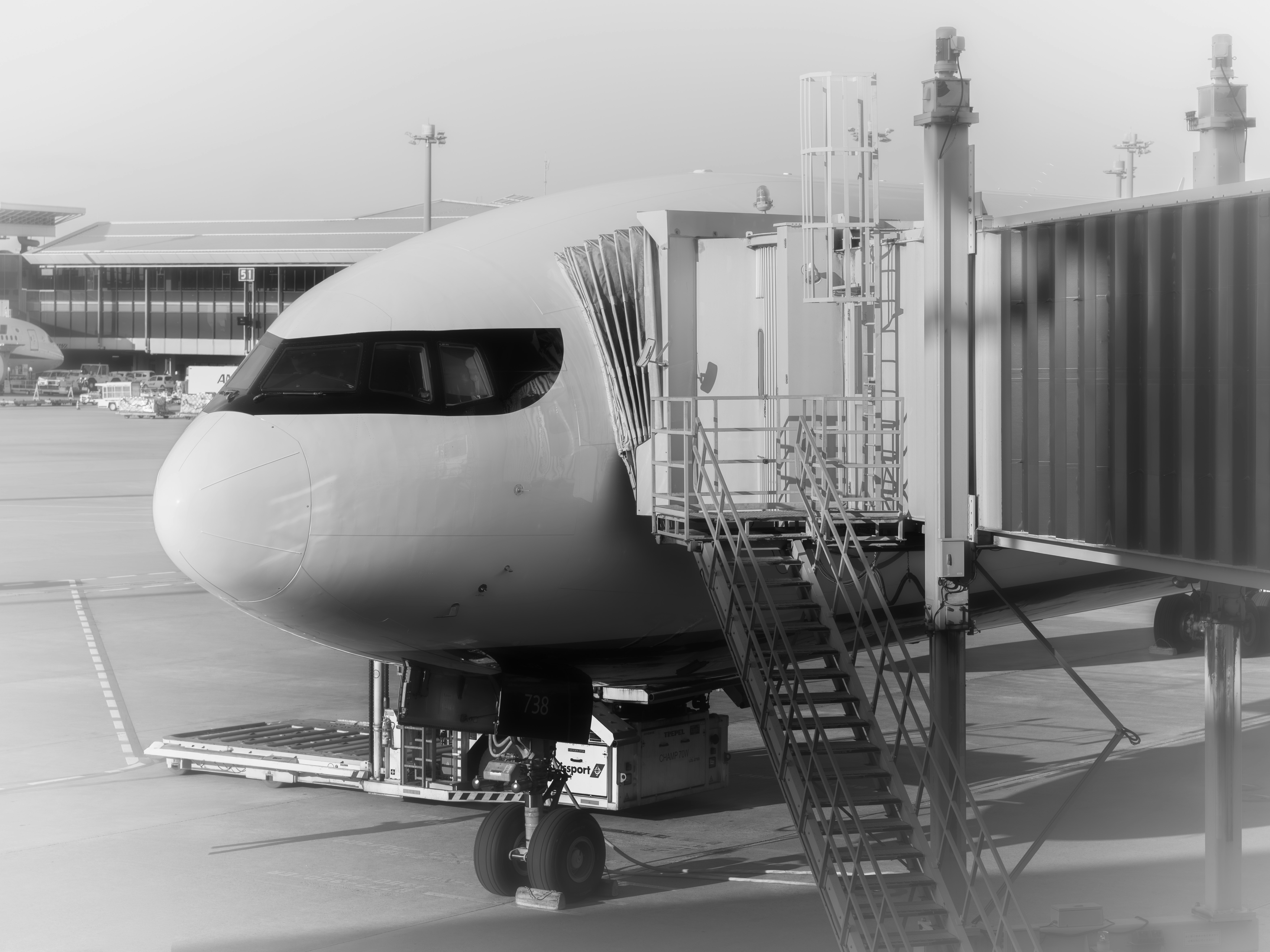 Jetway to Tariff: A Quiet Moment at the Gate