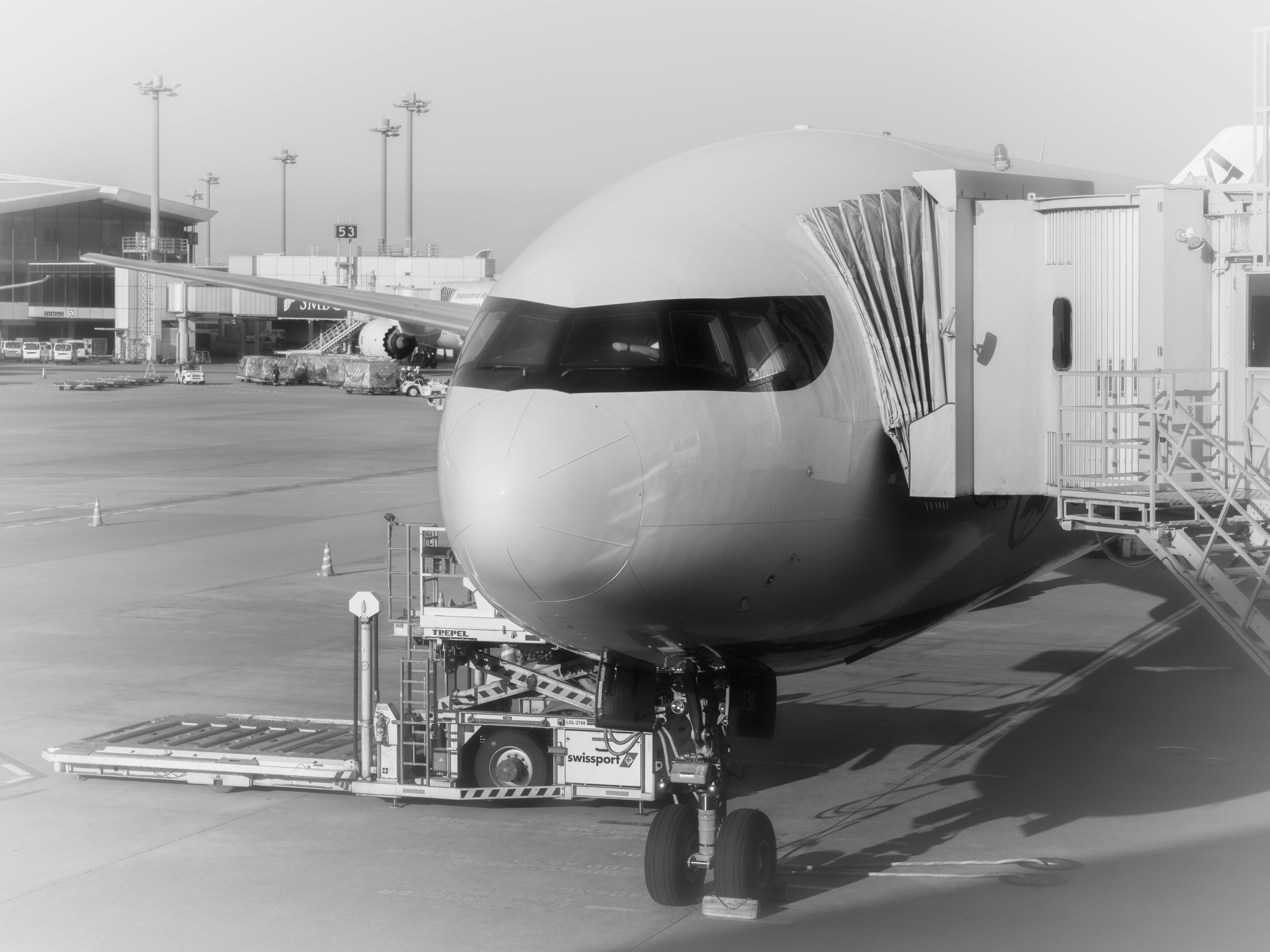 Jet at the Gate: A Quiet Moment Before Departure