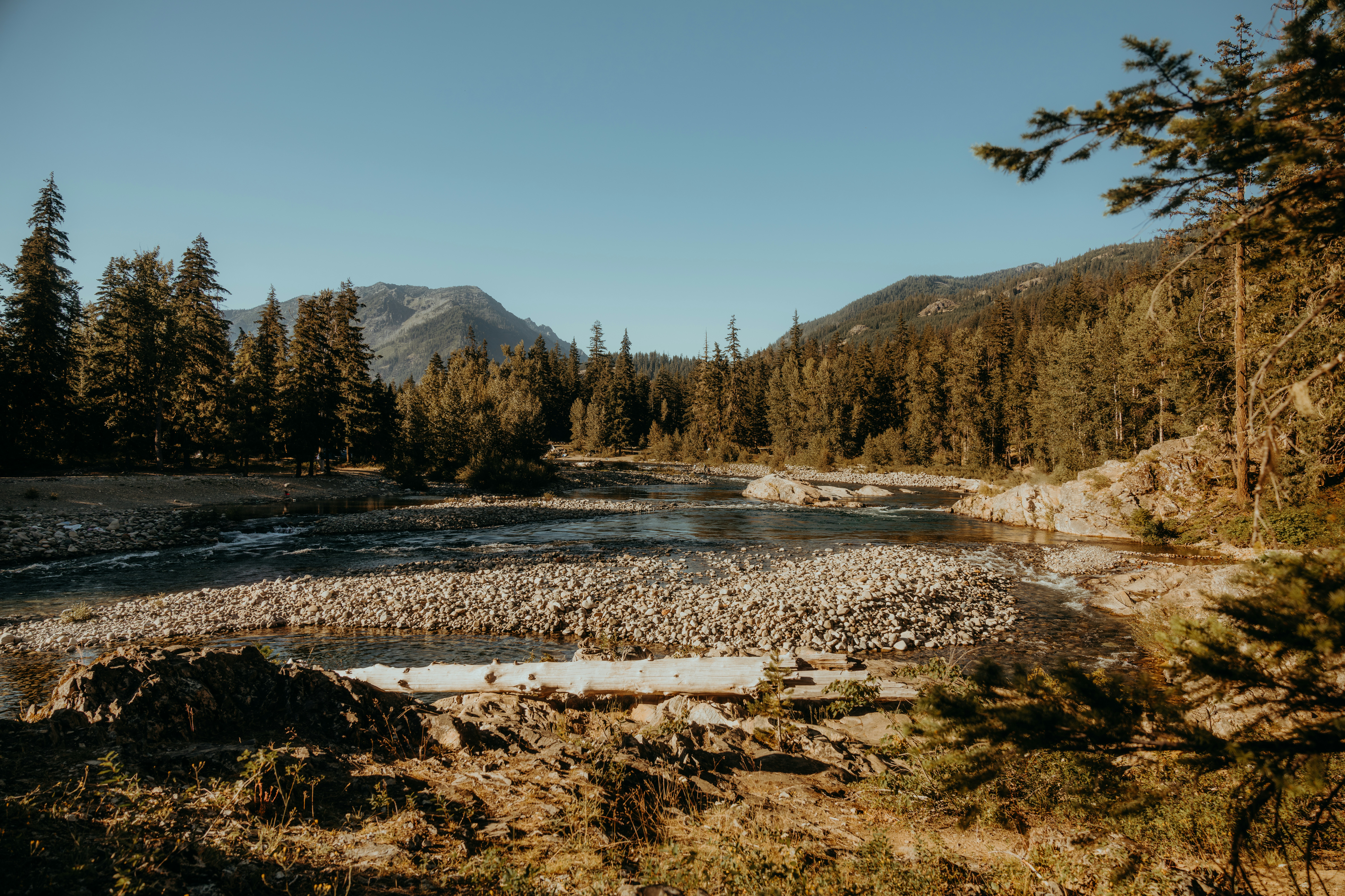 River echo in a pine-dusted valley at golden hour