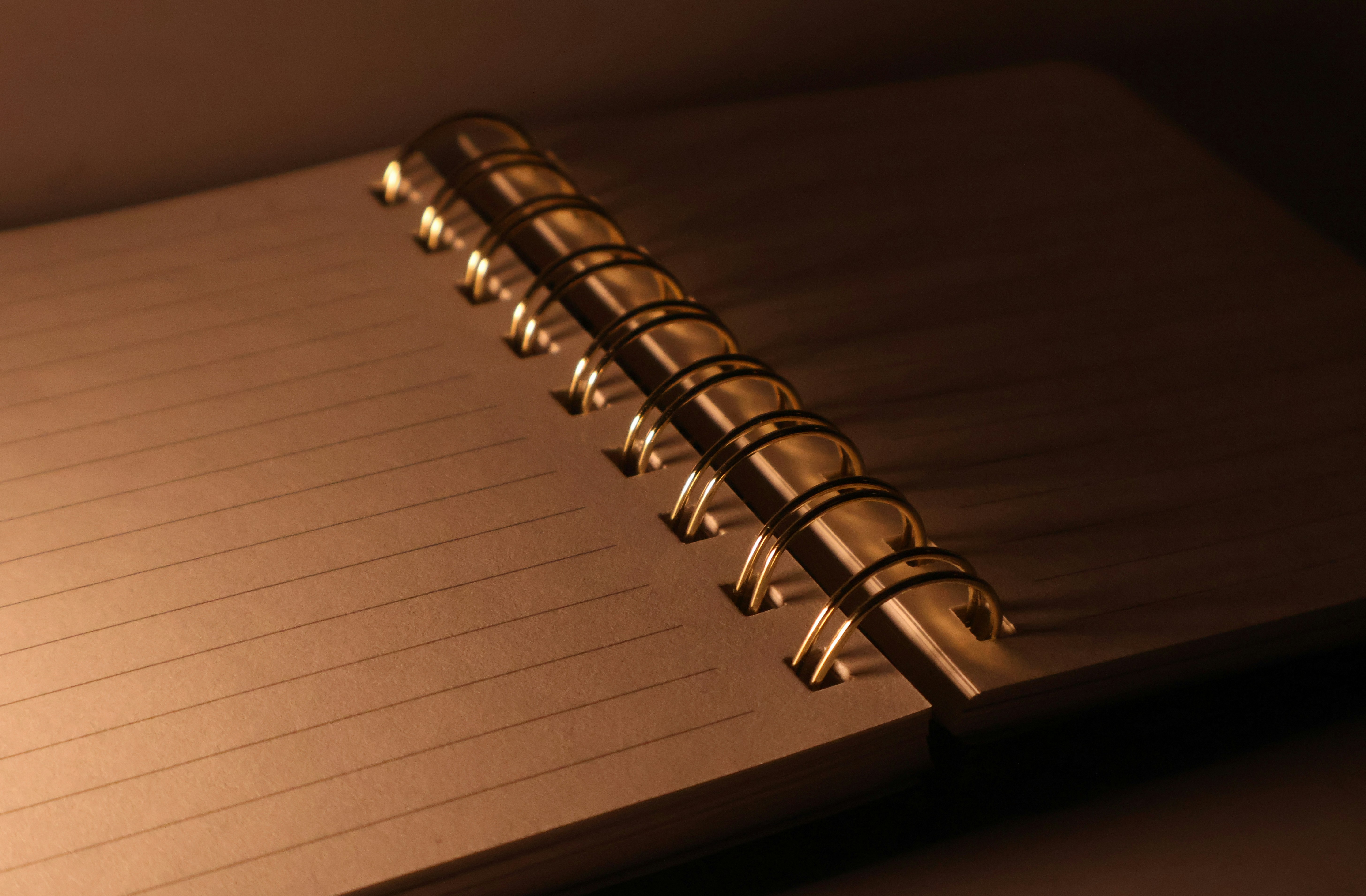 Notebook Page Pictures | Download Free Images on Unsplash