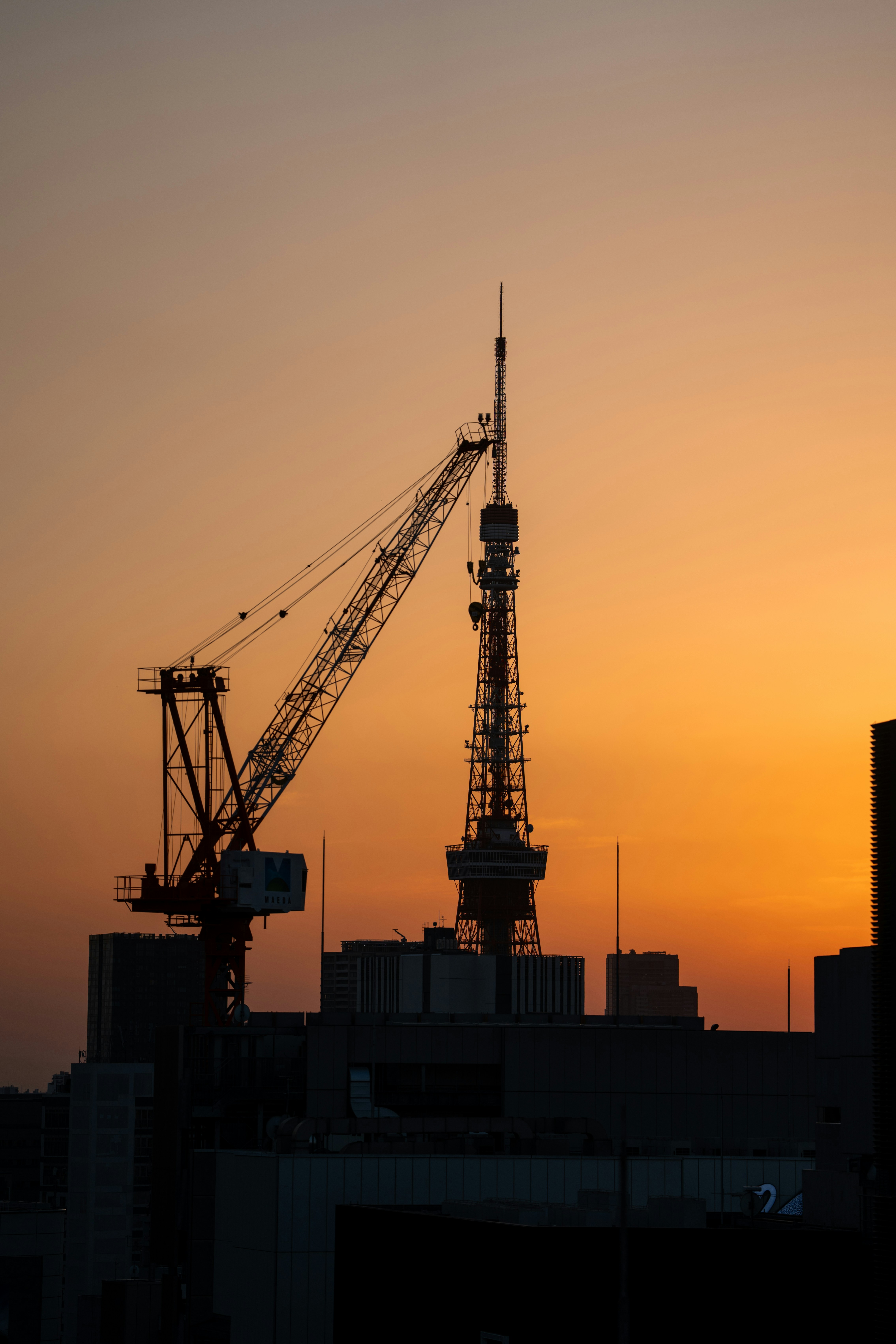 Sunset Skyline and Tower Crane Silhouette