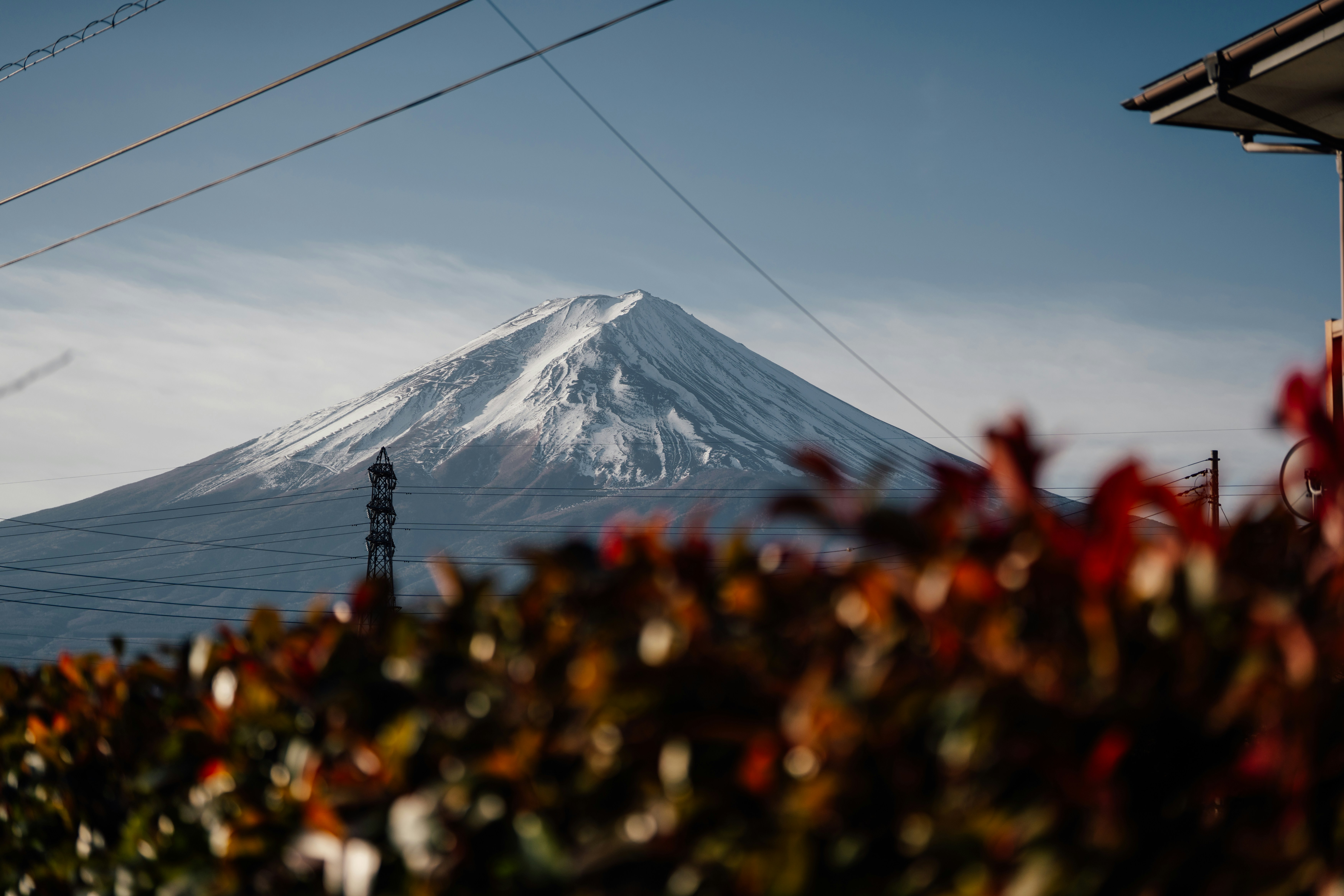 Snow-capped Peak Framed by Autumnal Foreground