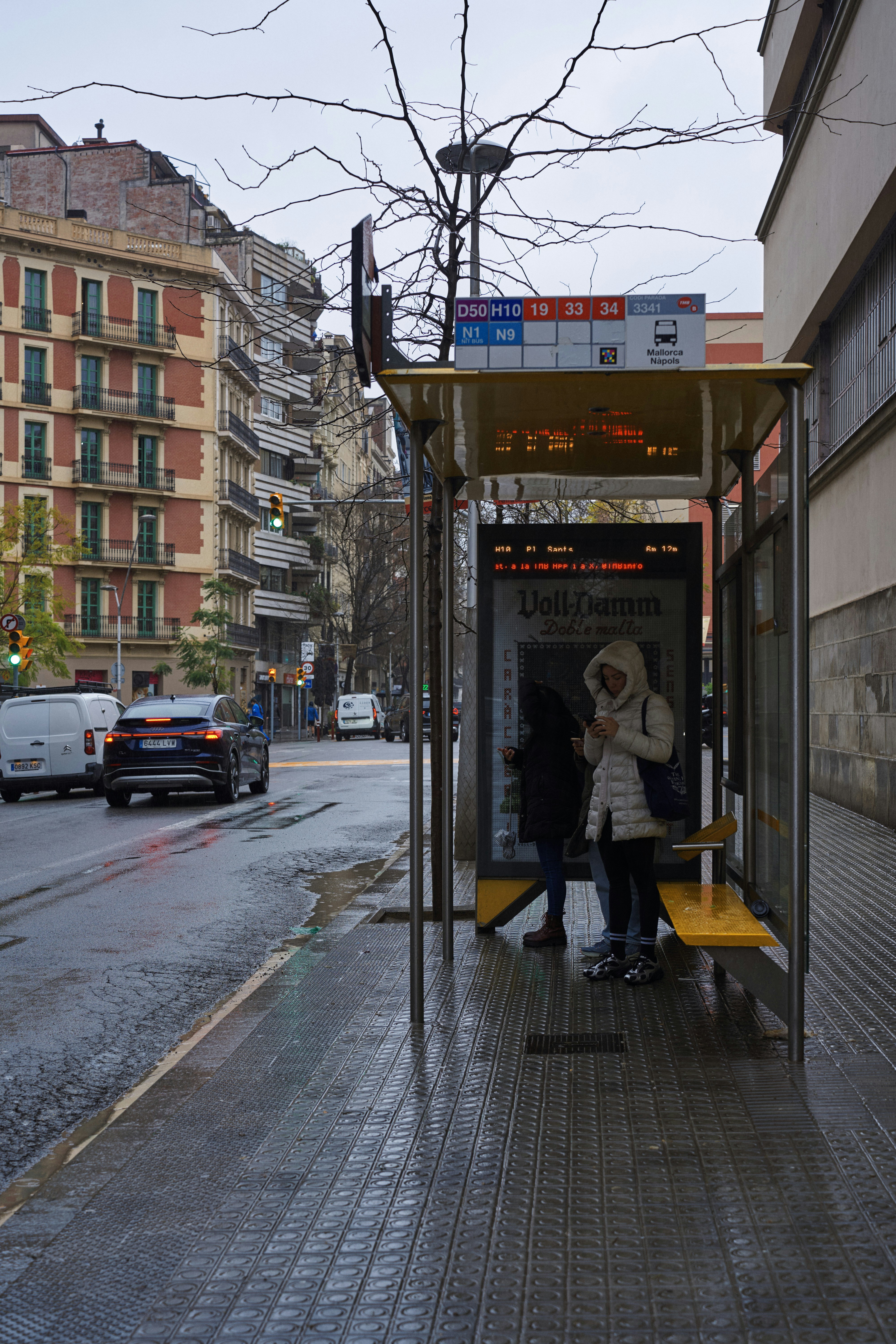 Bus Stop Portrait in a City Rain