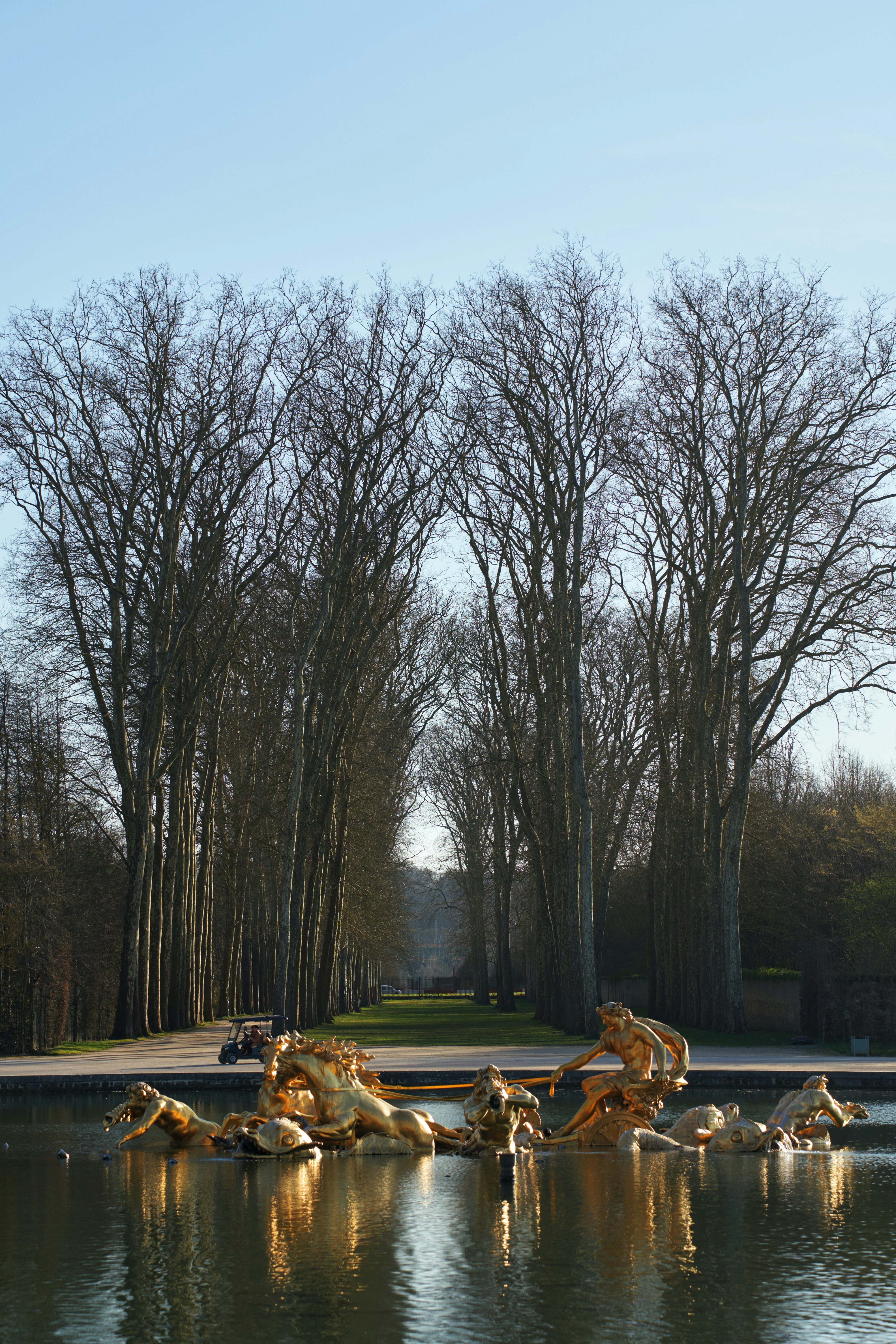 Row of Silent Giants Framing a Playful Fountain of Gold