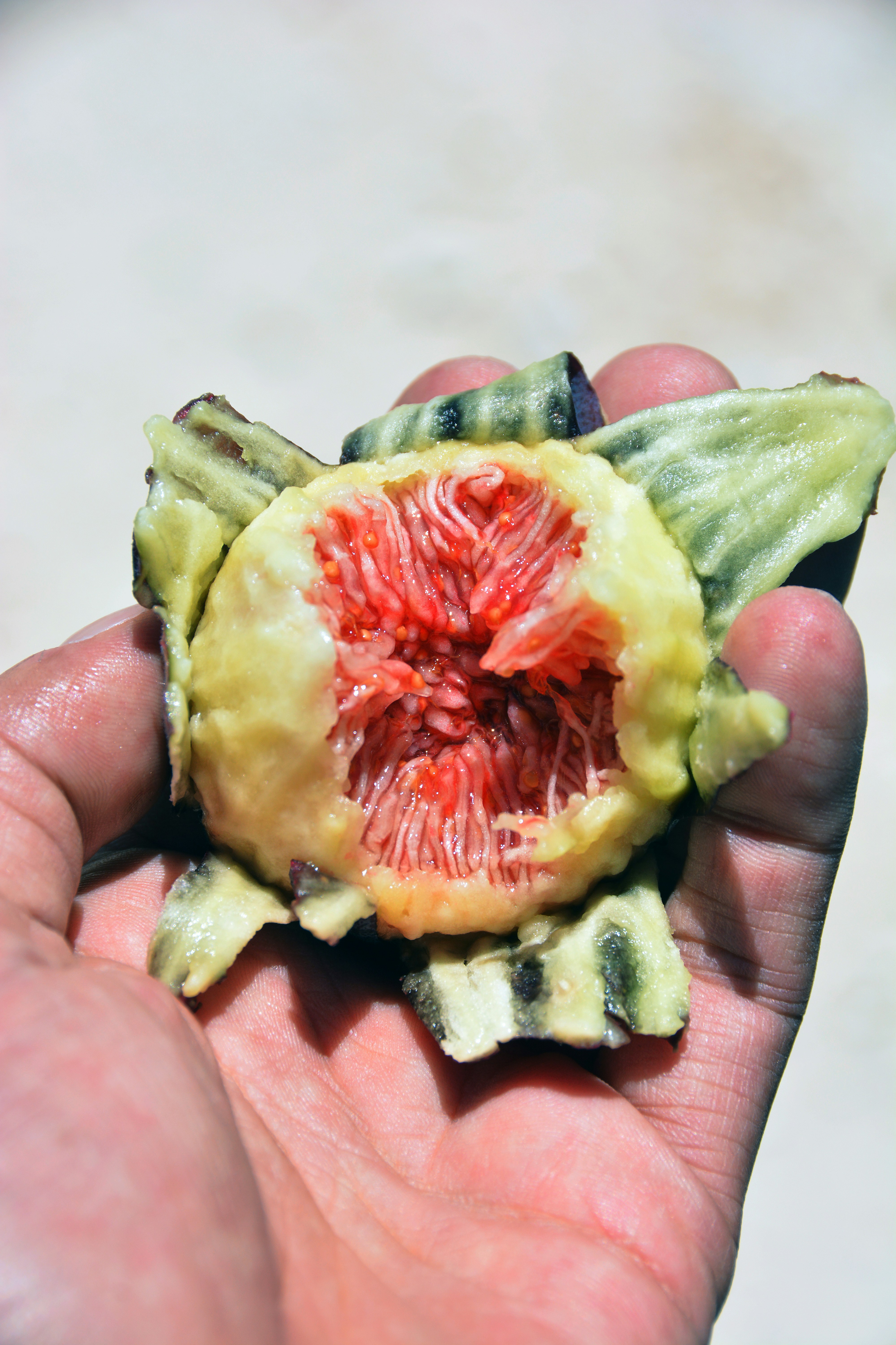 Handful of Figs: A Cracked Cusp Revealing Red Interior