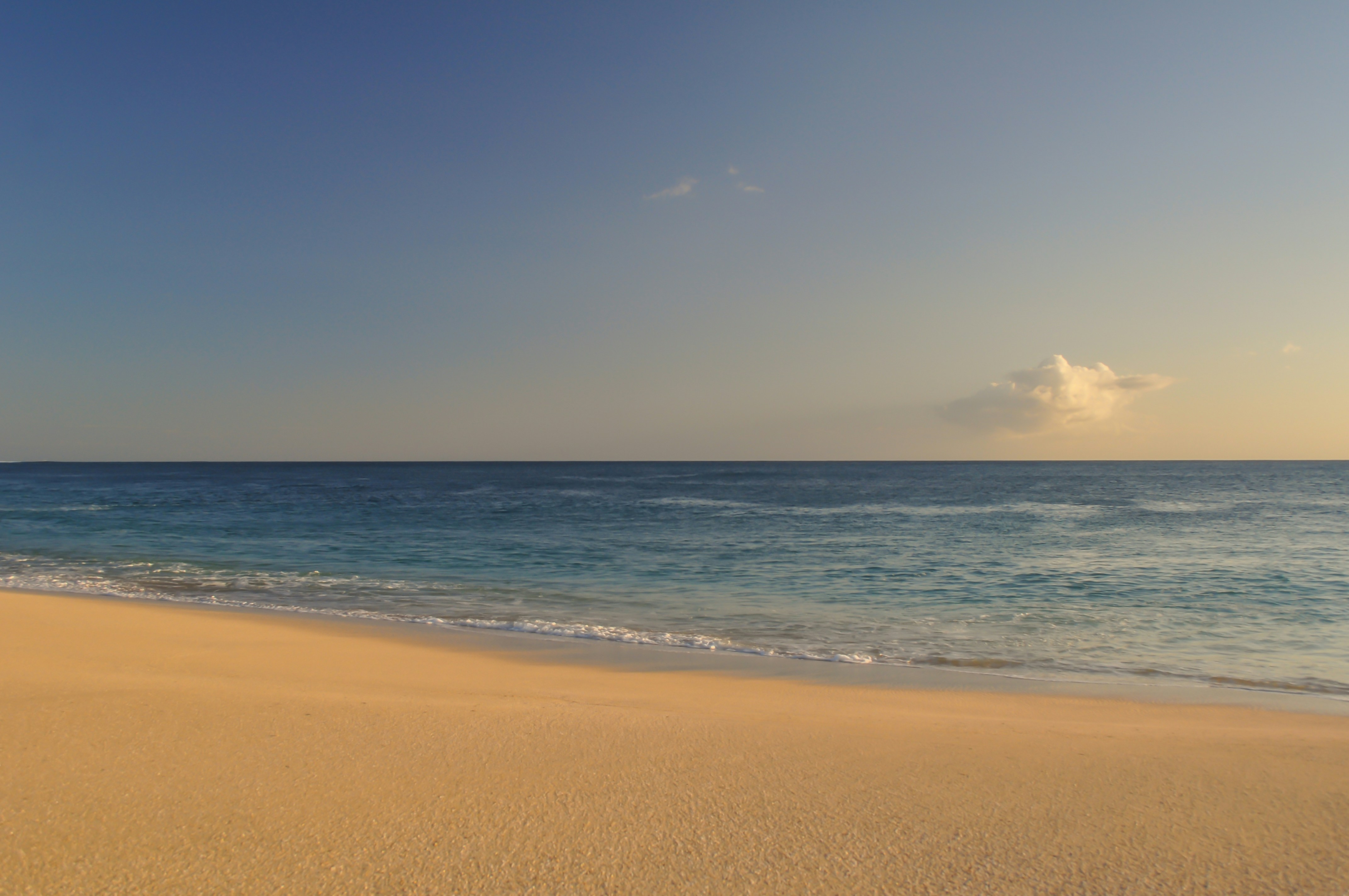 Sunlit Shoreline: Golden Sand Meeting Quiet Ocean