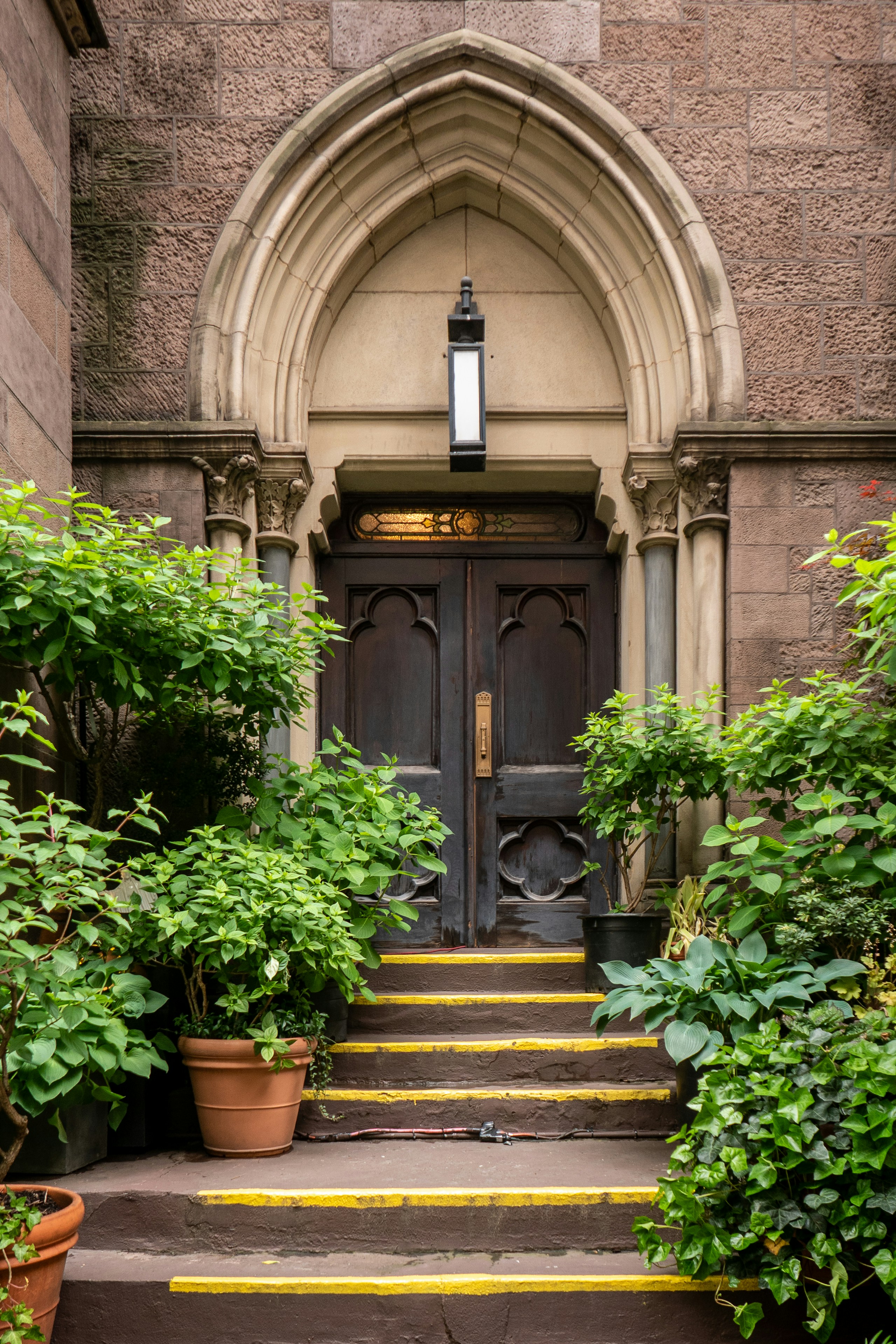 Greenery at the Threshold: A Stone Archway Entrance