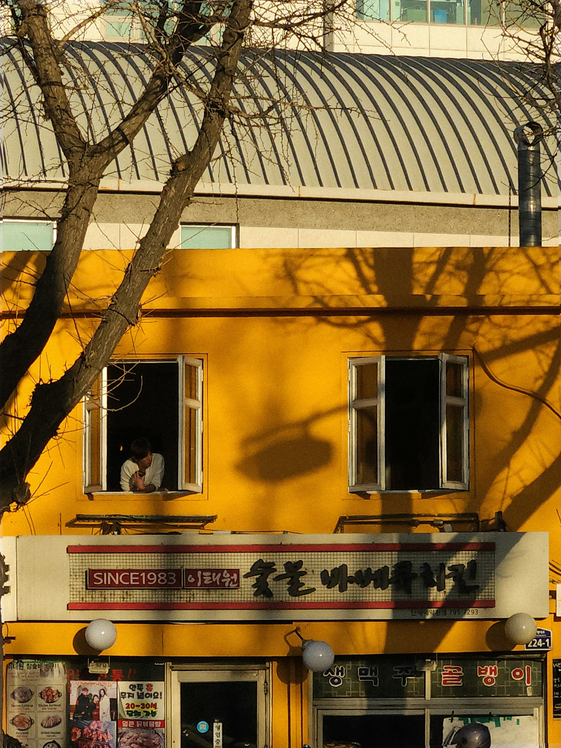 Sunlit Yellow Facade: City Shopfront Under Shadowed Branches