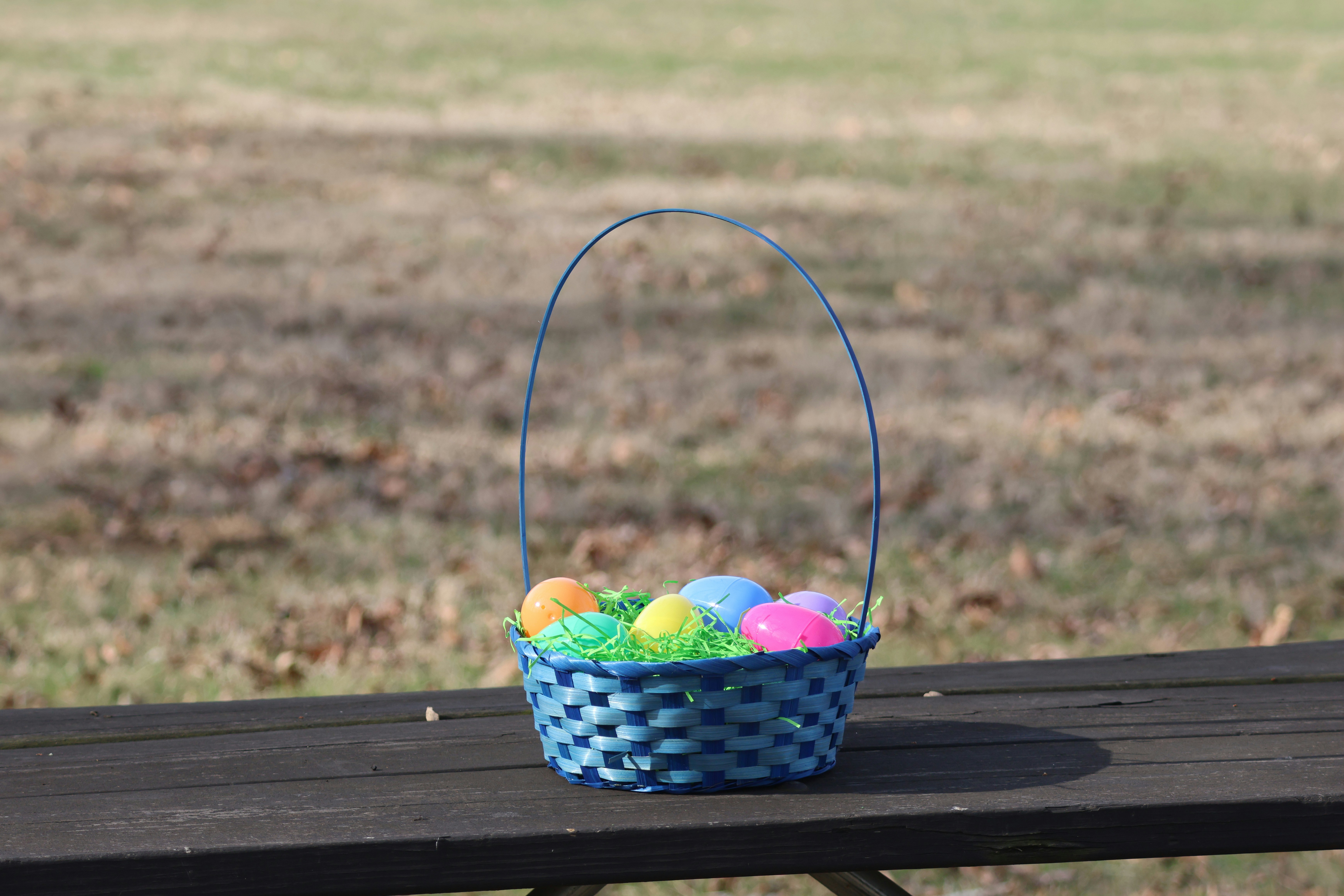 Cobalt-Basket of Colorful Eggs on a Weathered Bench