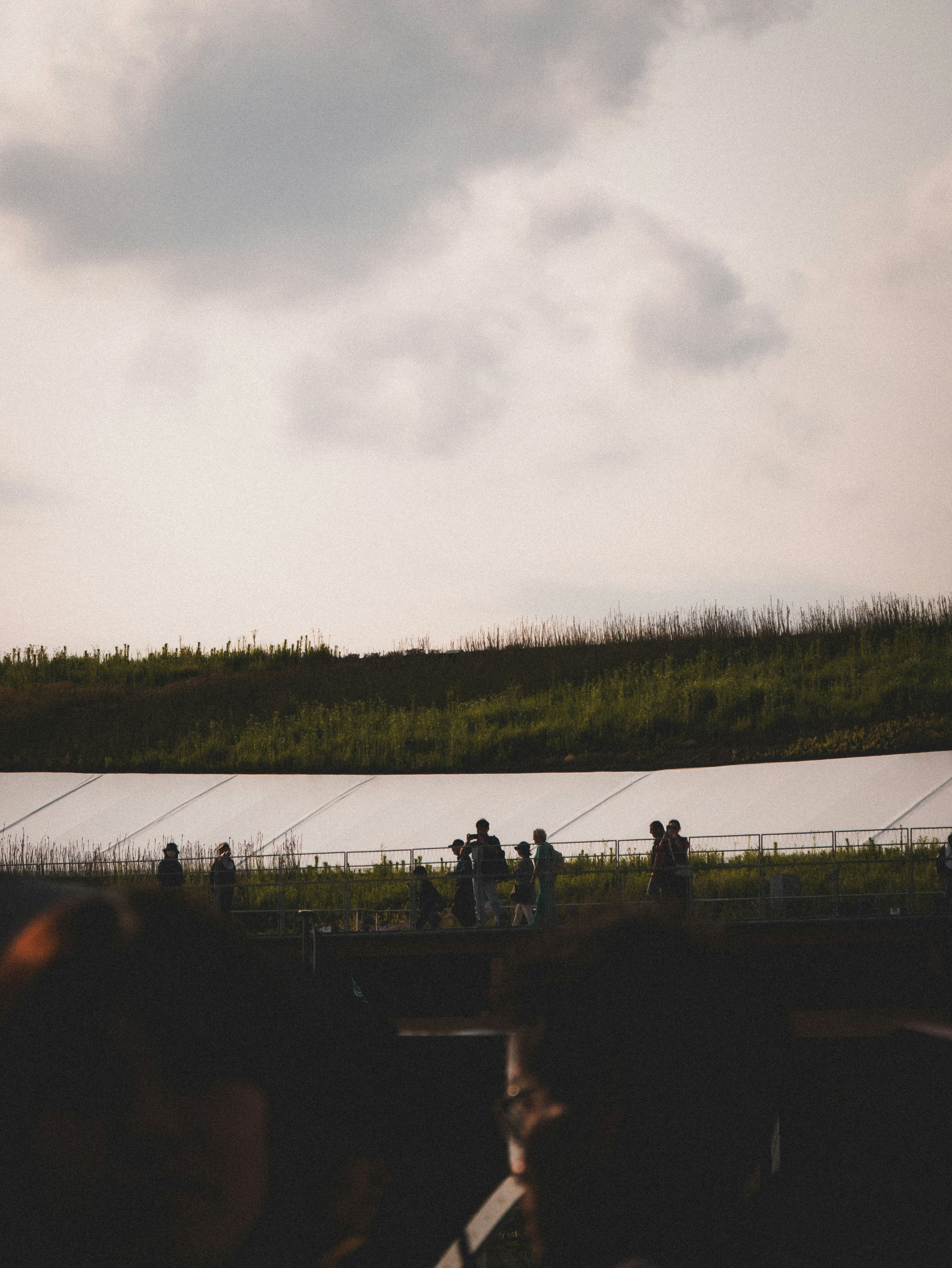 Silhouette Assembly at Dusk: People Silhouetted Against a Sloped Park Ridge