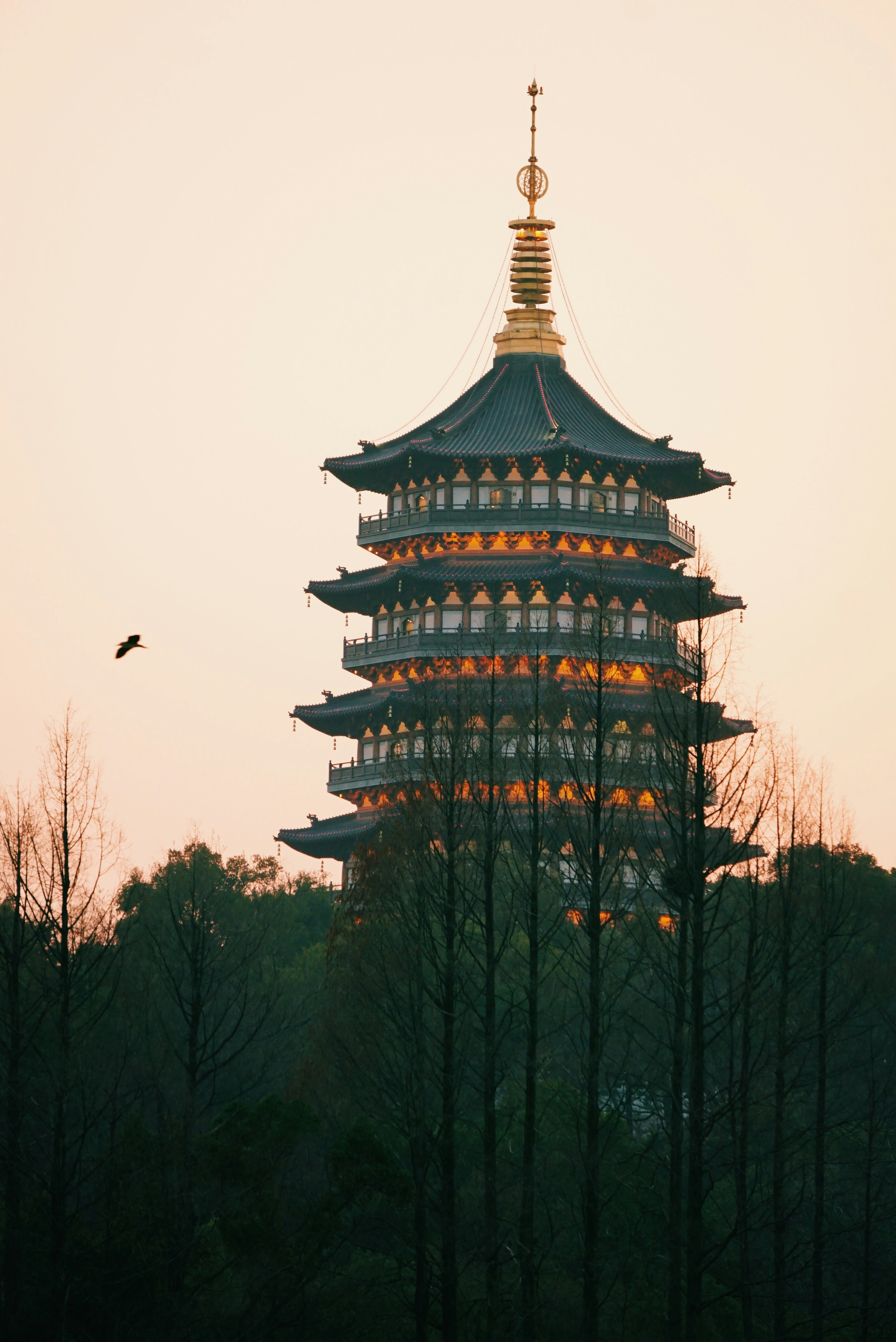 Sunlit Pagoda Among Winter Timber