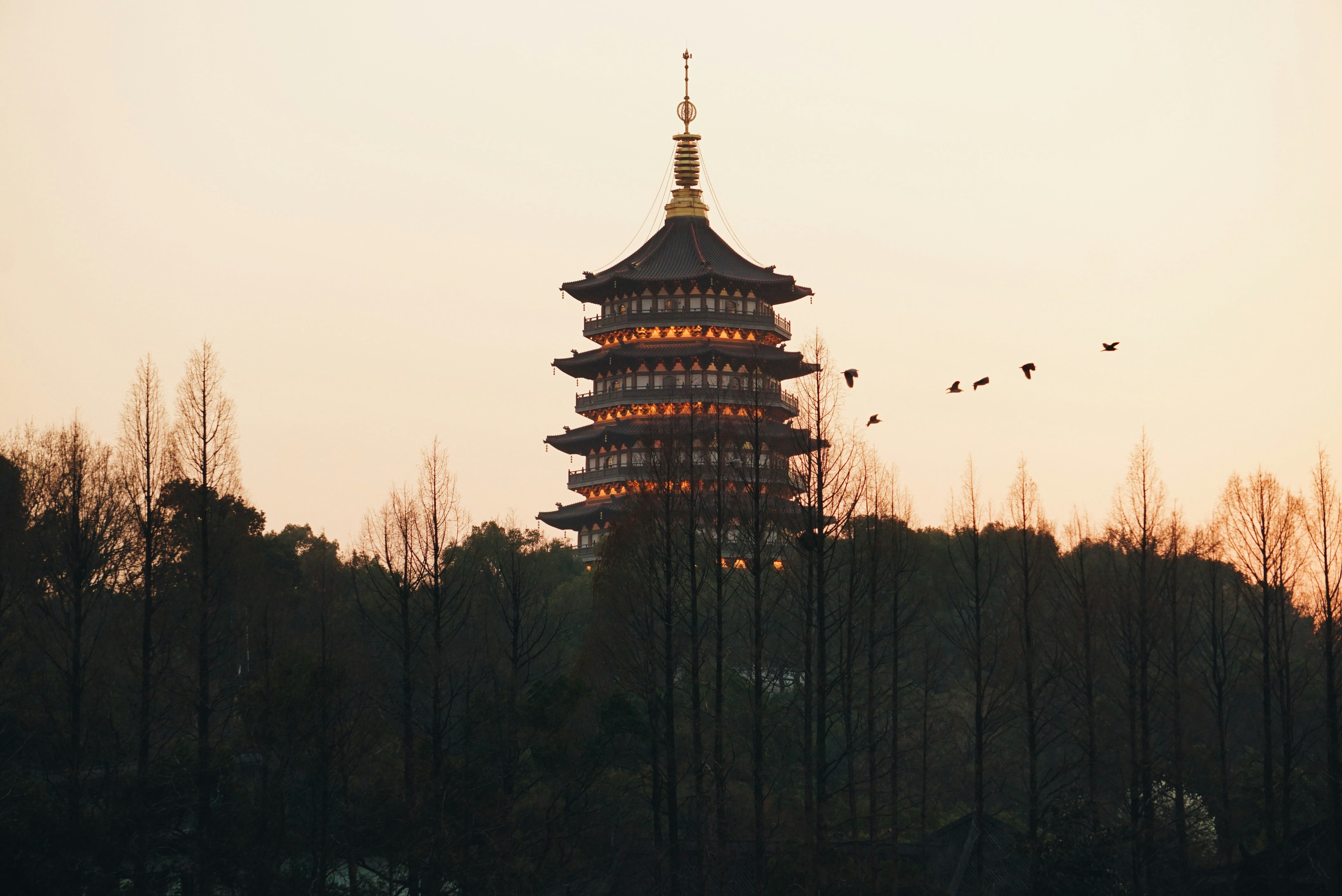 Sunset Pagoda in Quiet Forest Silhouette