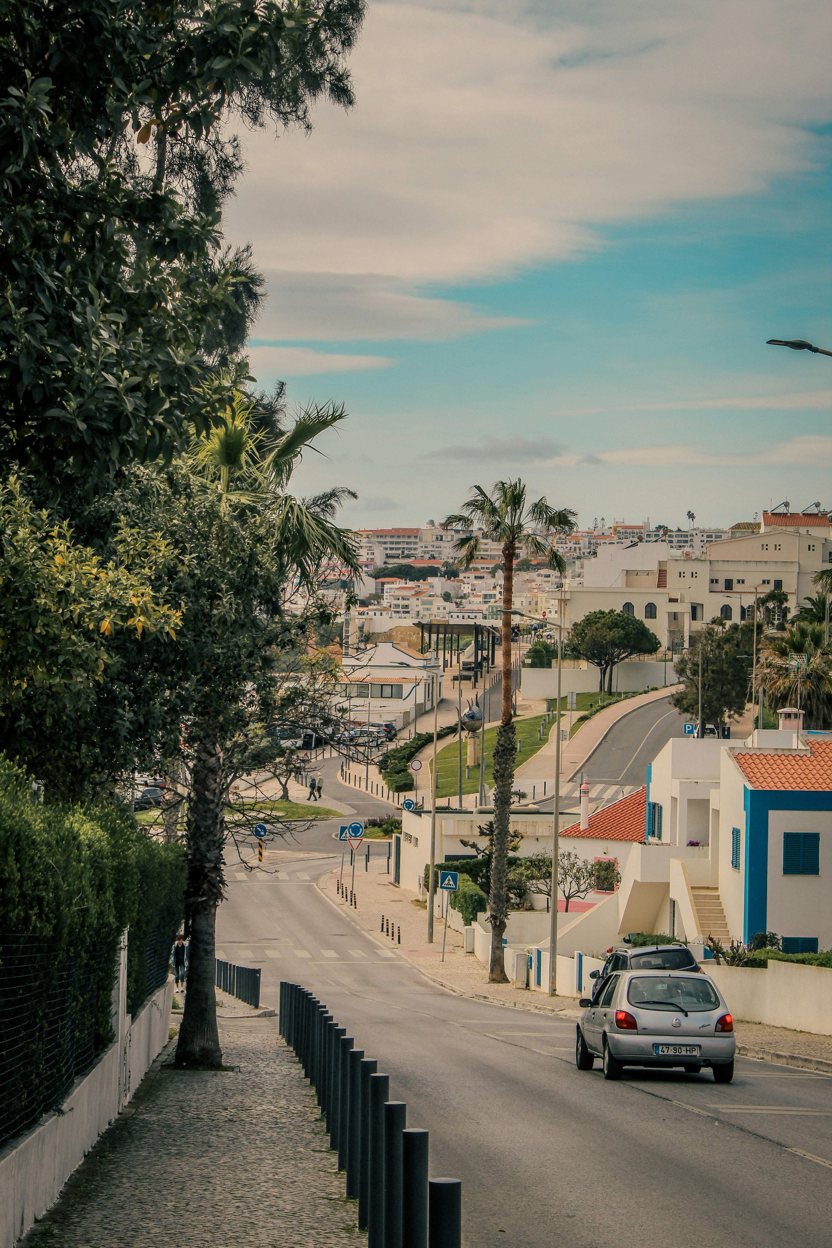 Sunny Avenida: A Quiet Ascent Through a Coastal Suburb