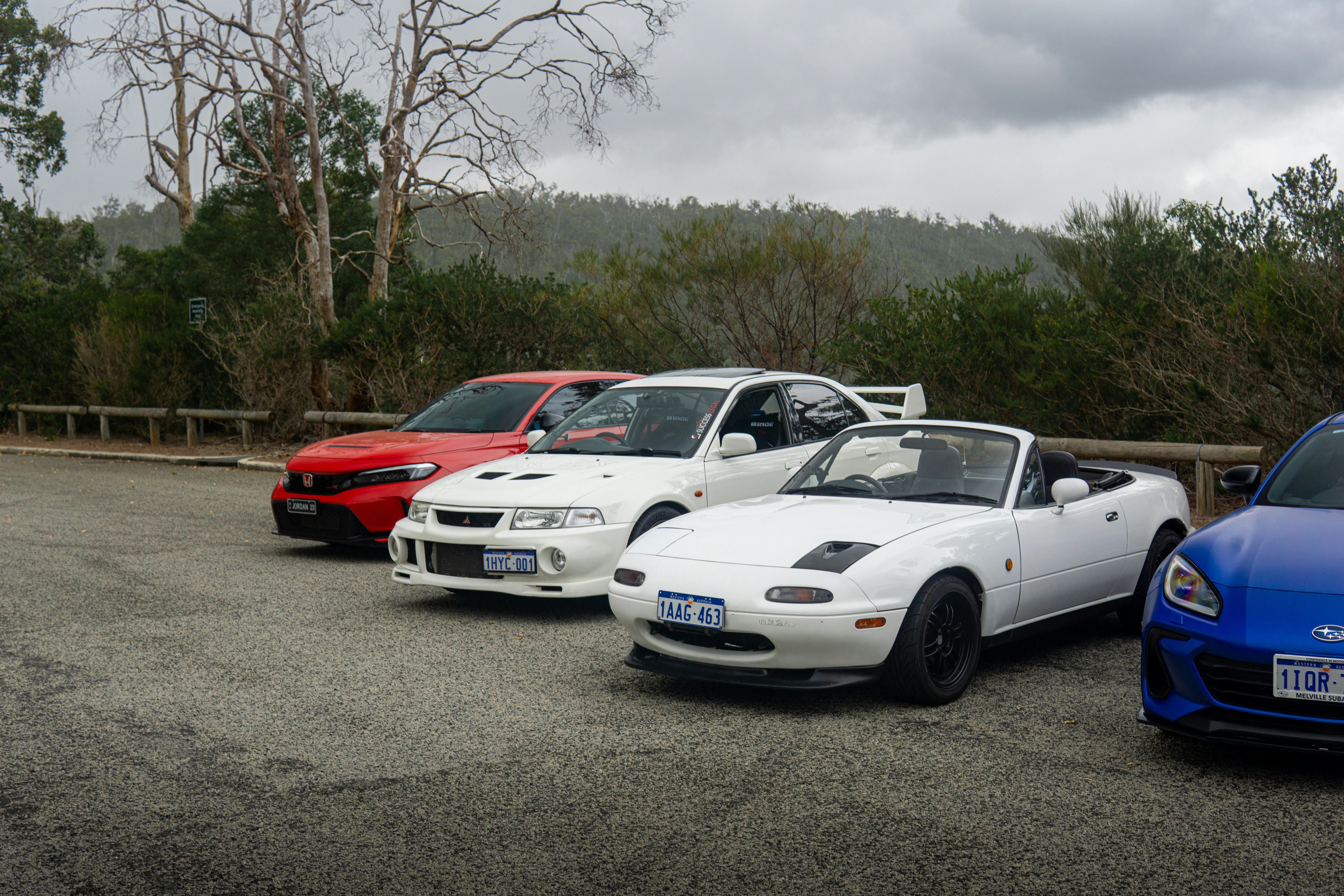 Line of Convertibles at the Edge of the Overlook